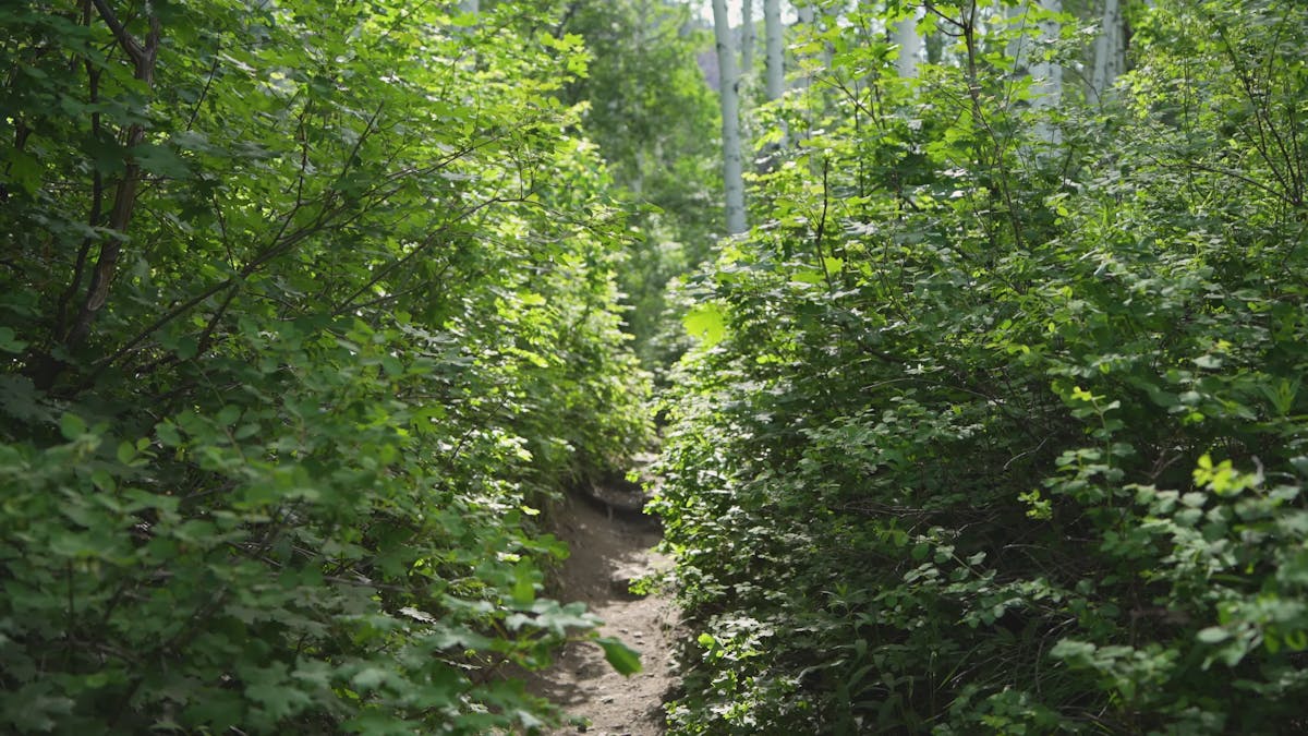 Bing+AI+Hig+Big+Chug+Big+Vjh+For+B+Vjh+Gh+Bi+Hh+Big+G+Ig+Vjh+V+V+B+Vjh ...