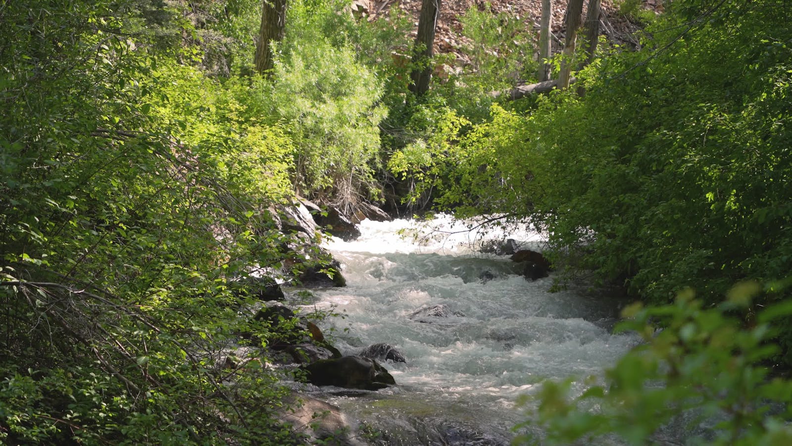 Bing+AI+Hig+Big+Chug+Big+Vjh+For+B+Vjh+Gh+Bi+Hh+Big+G+Ig+Vjh+V+V+B+Vjh ...