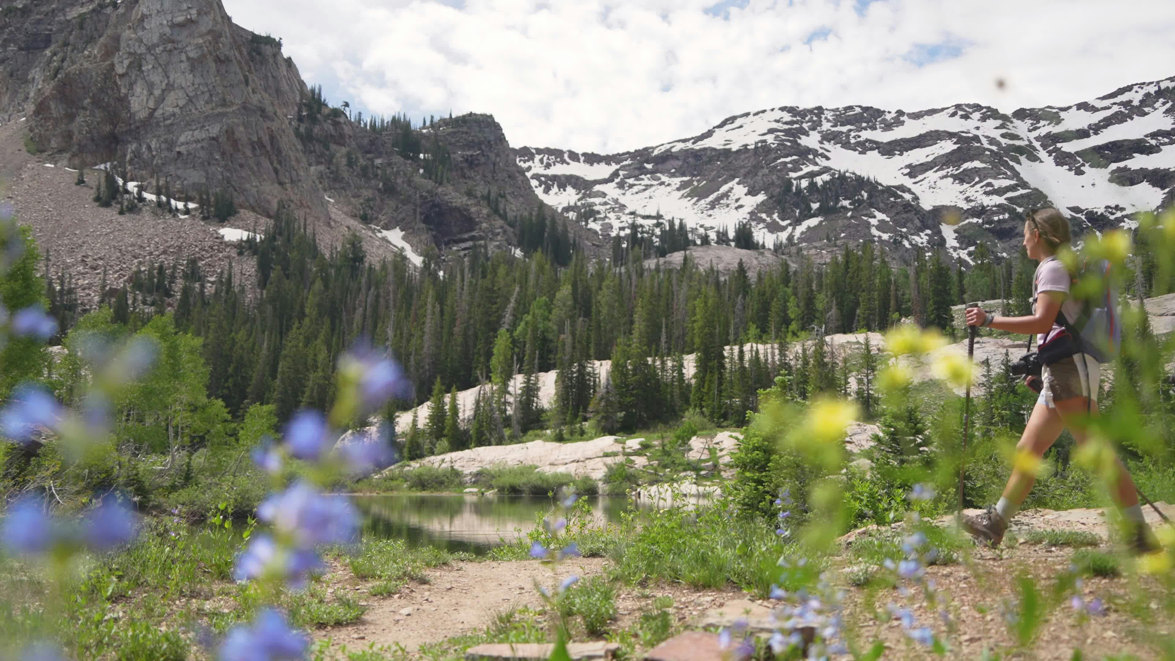 Hiking Adventure in Wasatch Mountains Free Stock Video Footage, Royalty ...