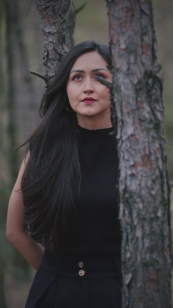 Non Copyright Video Videos, Download The BEST Free 4k Stock Video ...