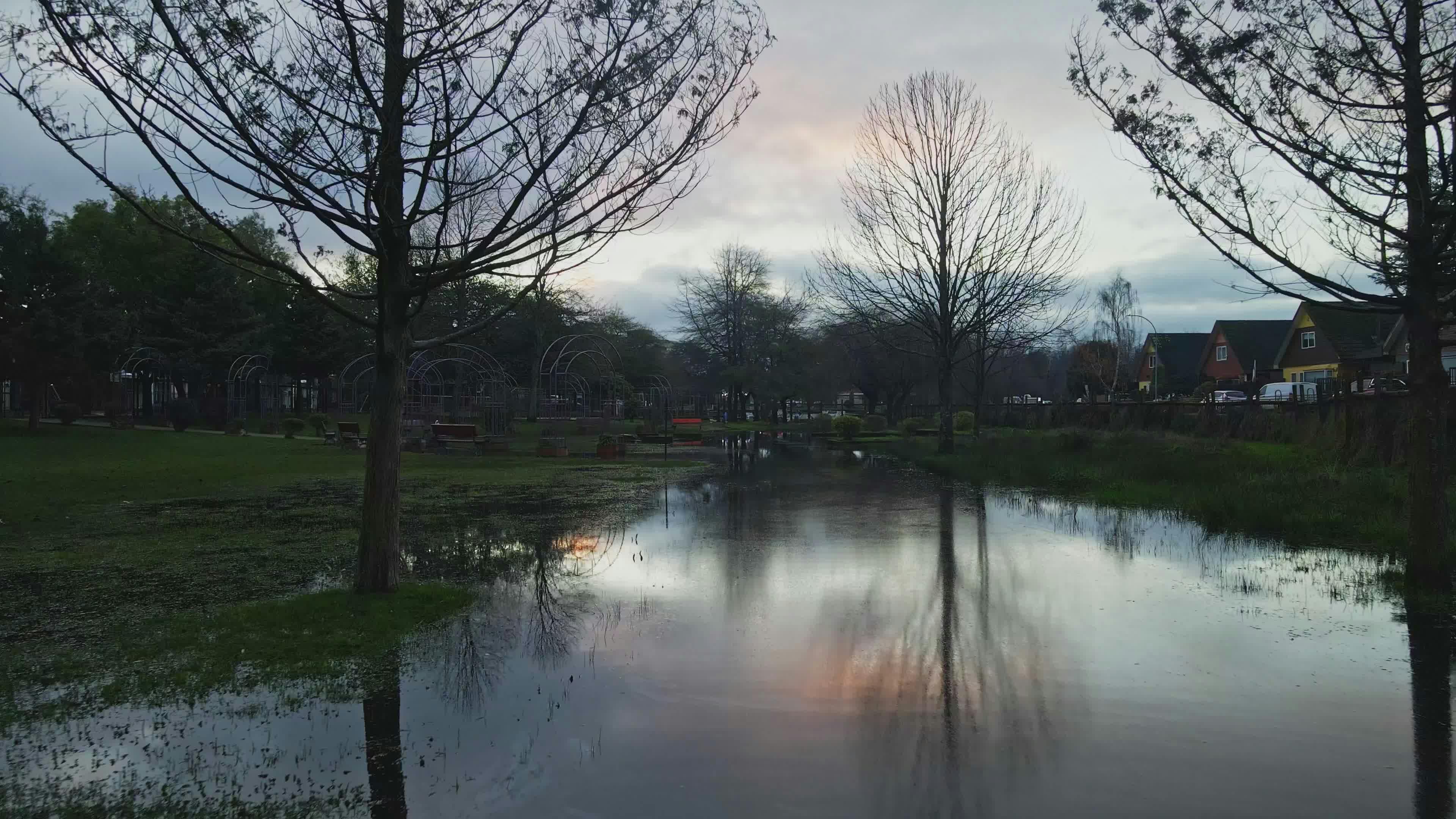 Serene Park at Dusk with Reflected Trees Free Stock Video Footage, Royalty-Free 4K & HD Video Clip