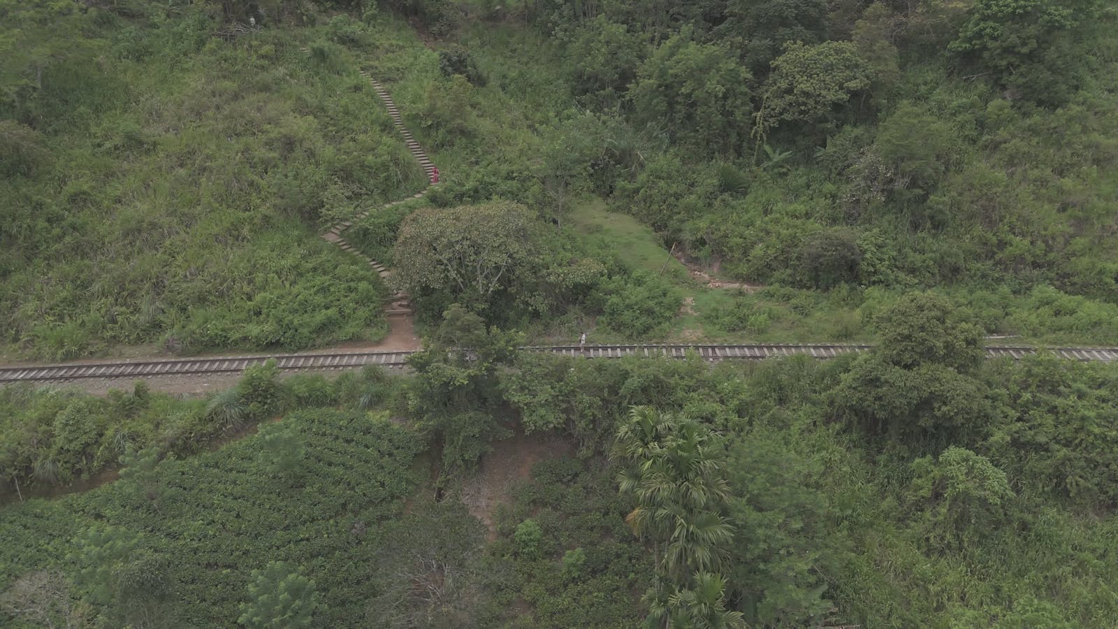 Log Footage Videos, Download The BEST Free 4k Stock Video Footage & Log ...