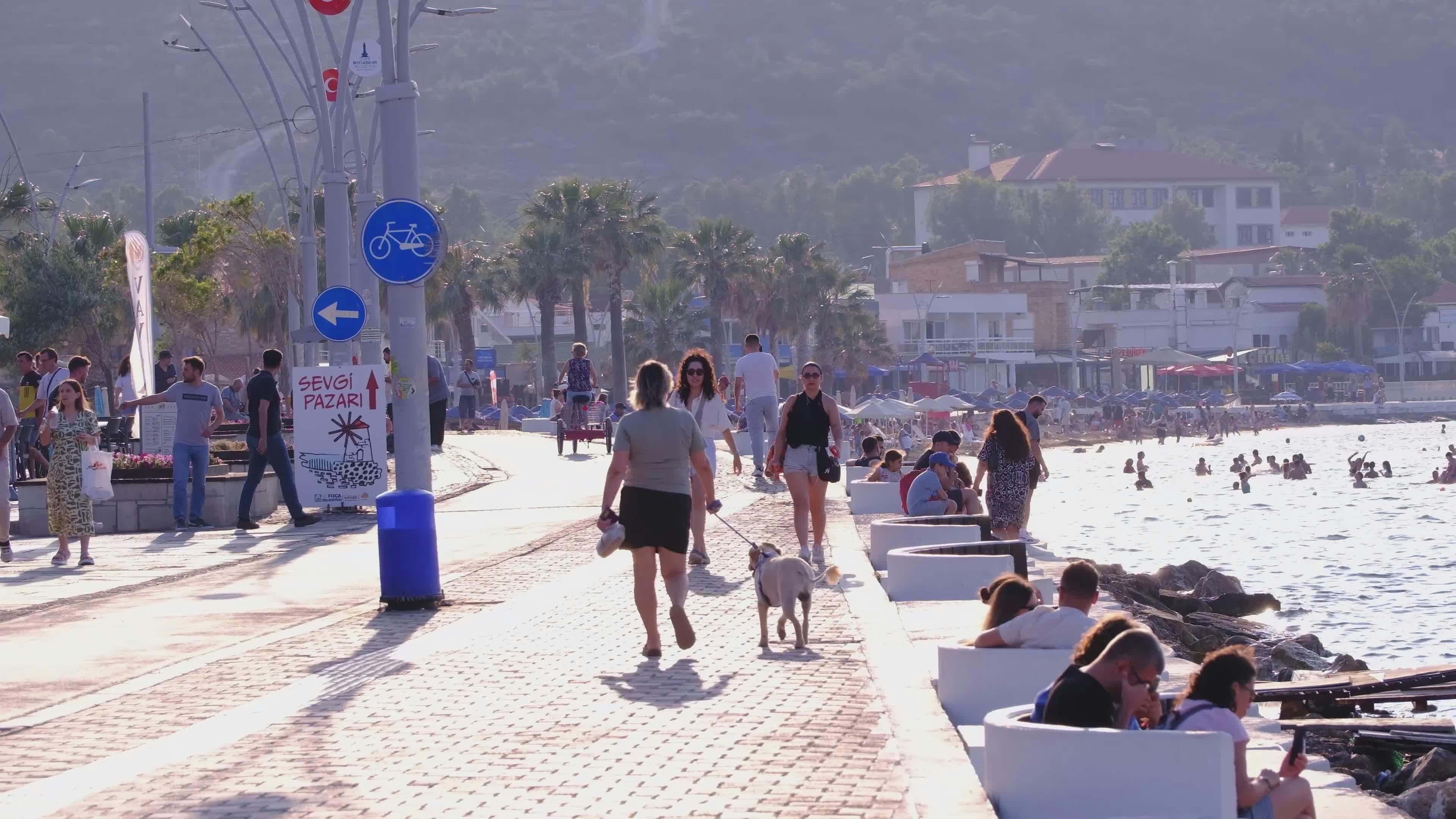 Sunny Beachfront Promenade with Tourists and Dogs Free Stock Video ...