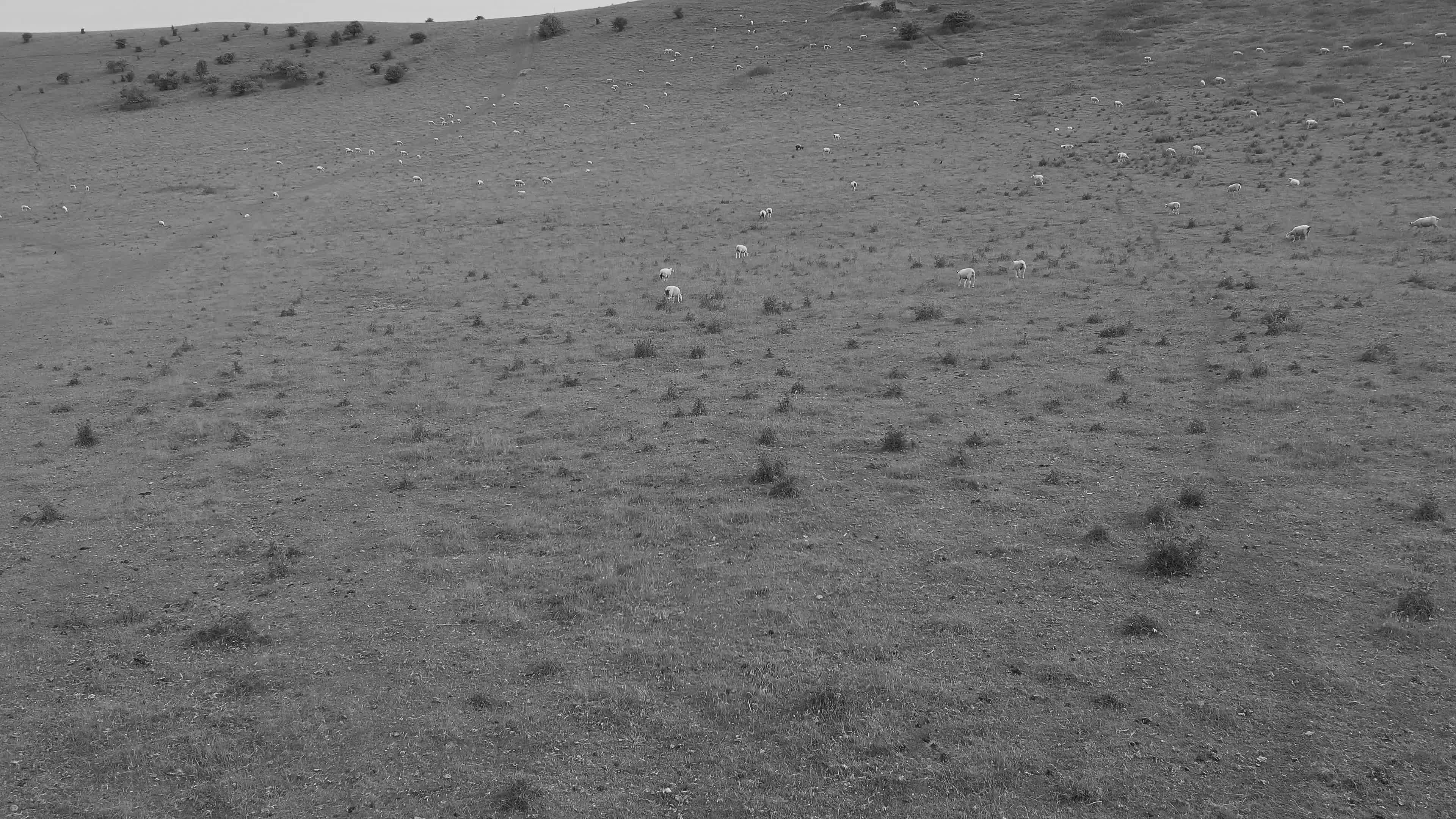 Waptrick+Mp4+Free+Download Videos, Download The BEST Free 4k Stock ...