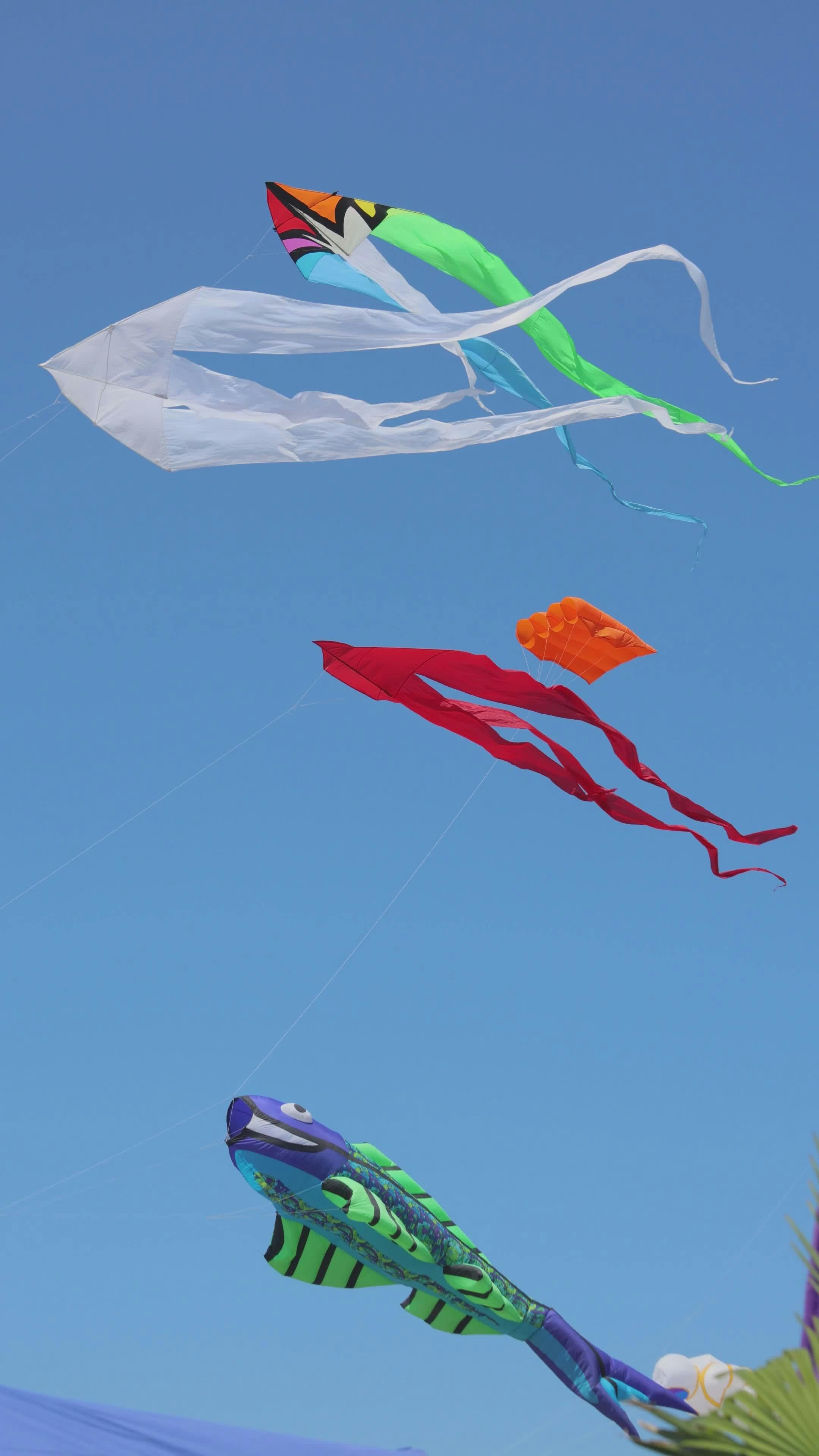 Kite Flying Videos, Download The BEST Free 4k Stock Video Footage ...