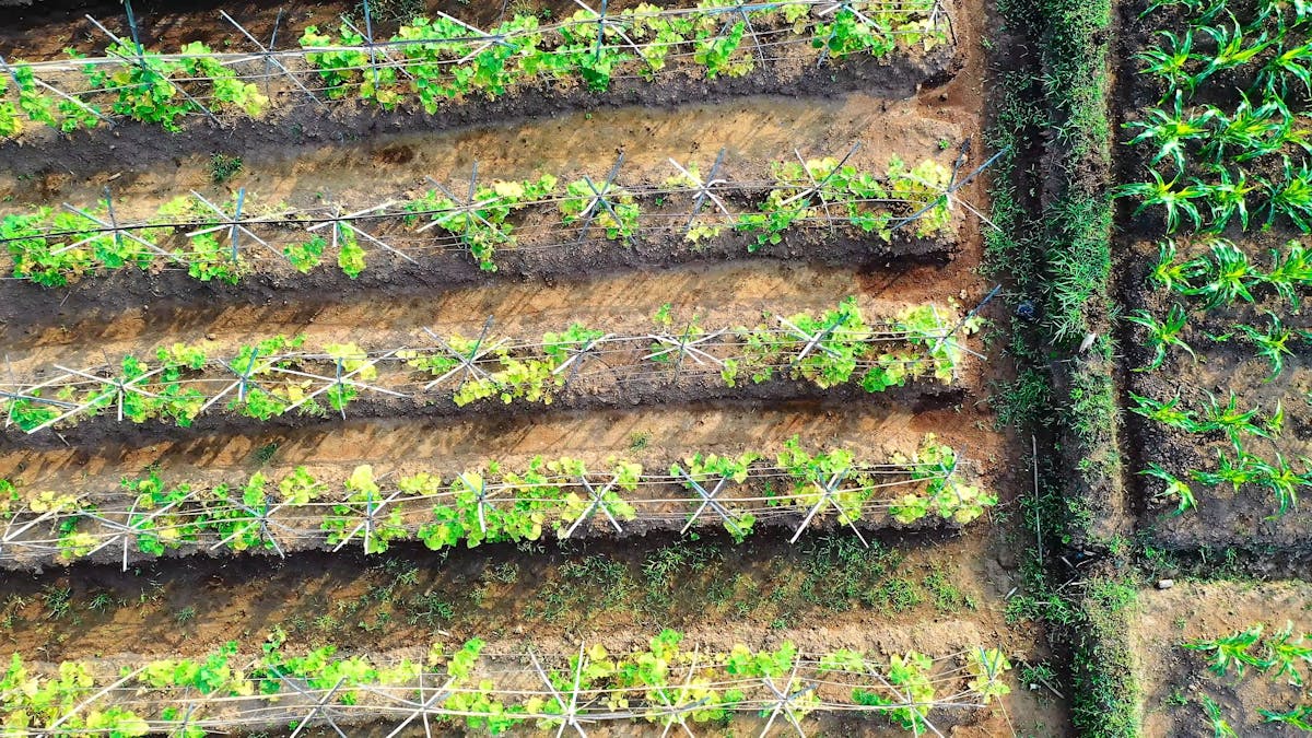 Farming Videos, Download The BEST Free 4k Stock Video Footage & Farming ...