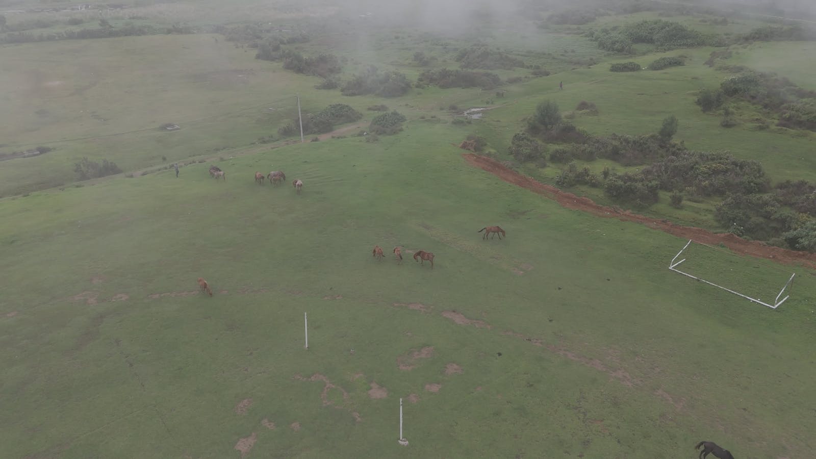 Anime Raw Footage Videos, Download The BEST Free 4k Stock Video Footage ...