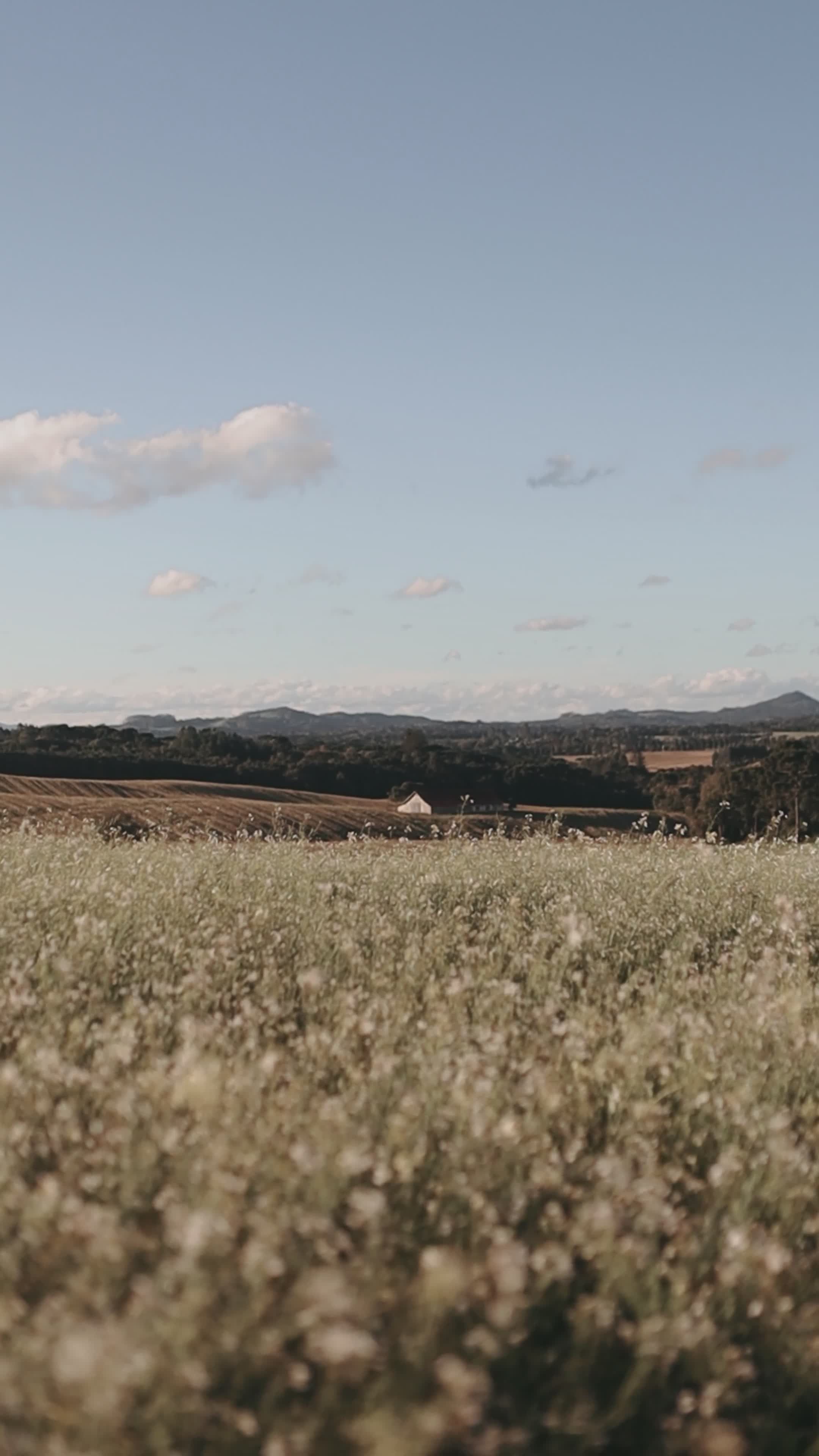 Idyllic Landscape with Vast Field and Distant Mountains Free Stock ...