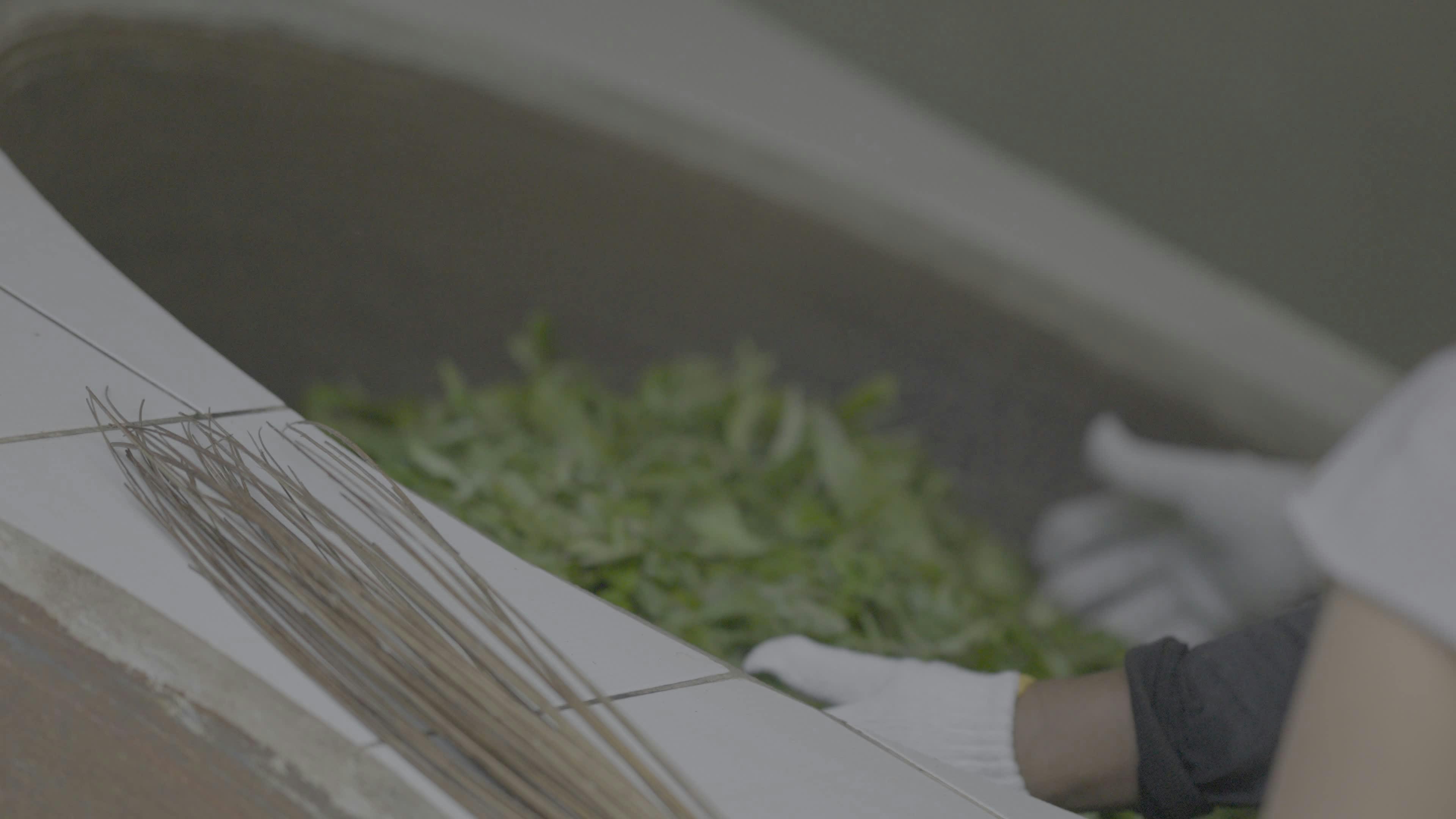 Traditional Tea Fermentation Process Close-Up Free Stock Video Footage ...