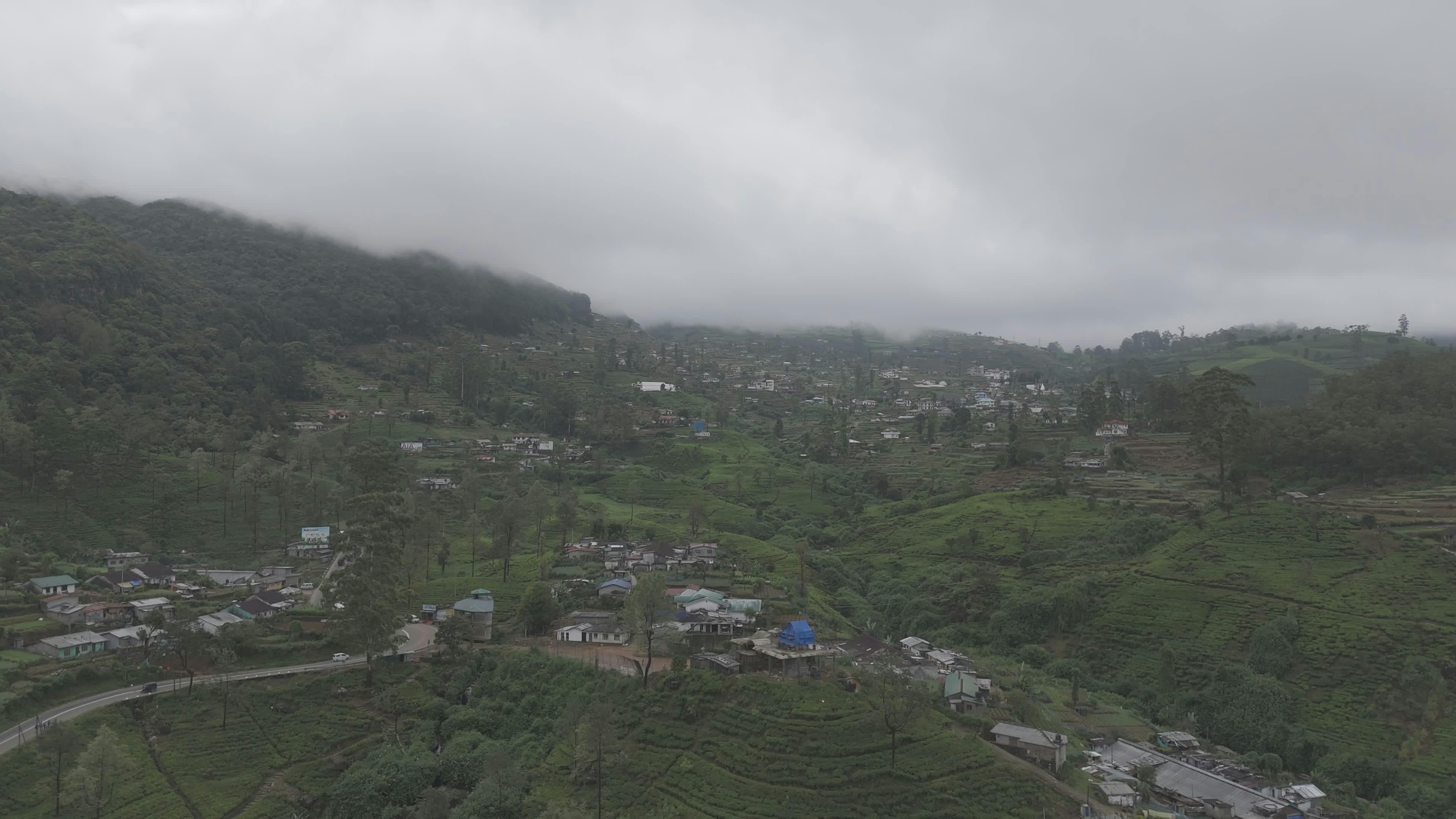 Ceylon Tee Videos, Download The BEST Free 4k Stock Video Footage ...