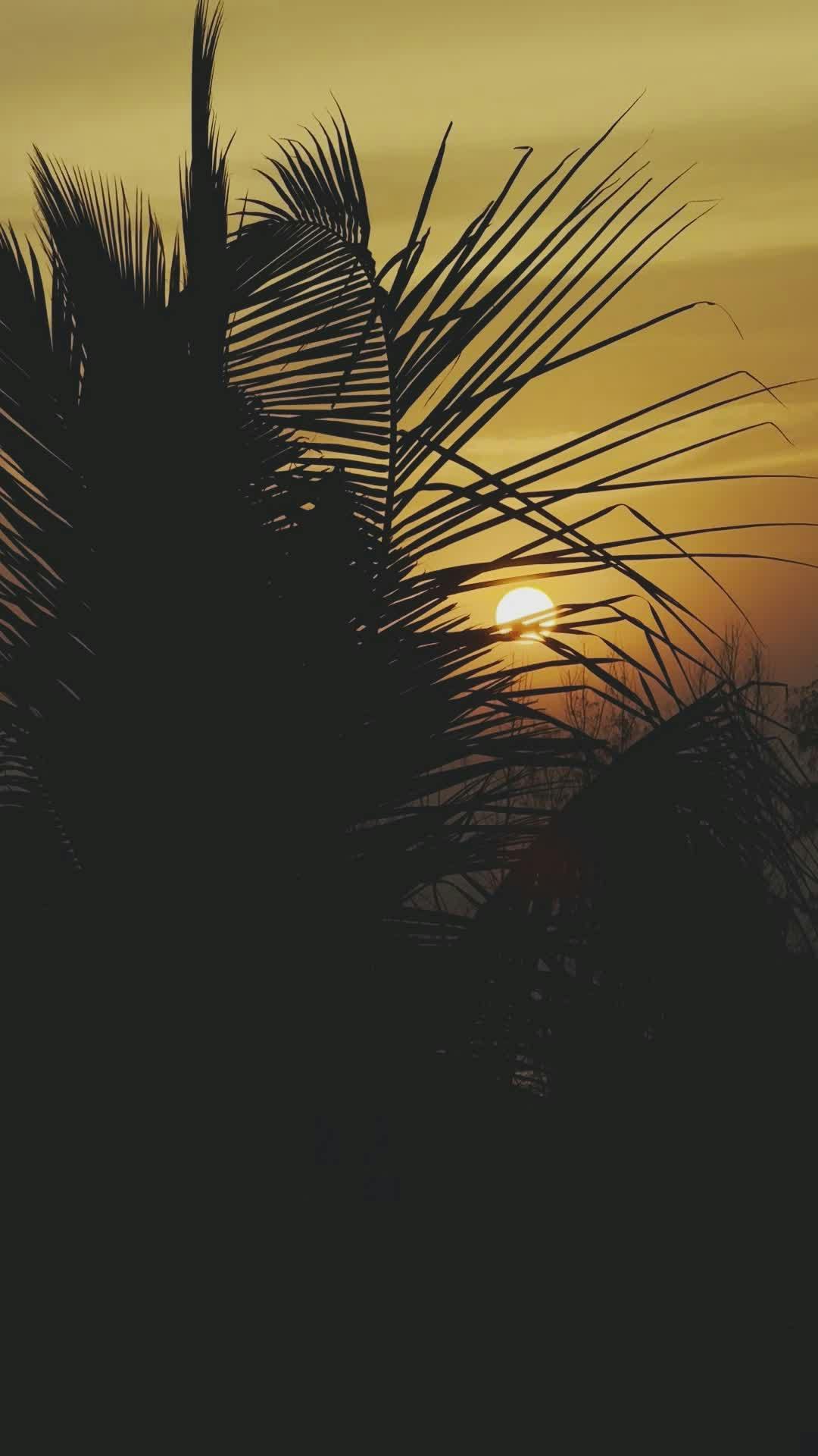 Aesthetic Neutral Videos, Download The BEST Free 4k Stock Video Footage ...