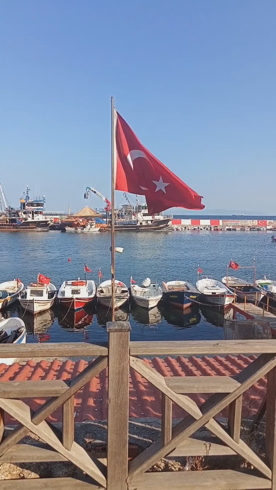 Turkish Flag Waving Over Coastal Harbor Free Stock Video Footage ...