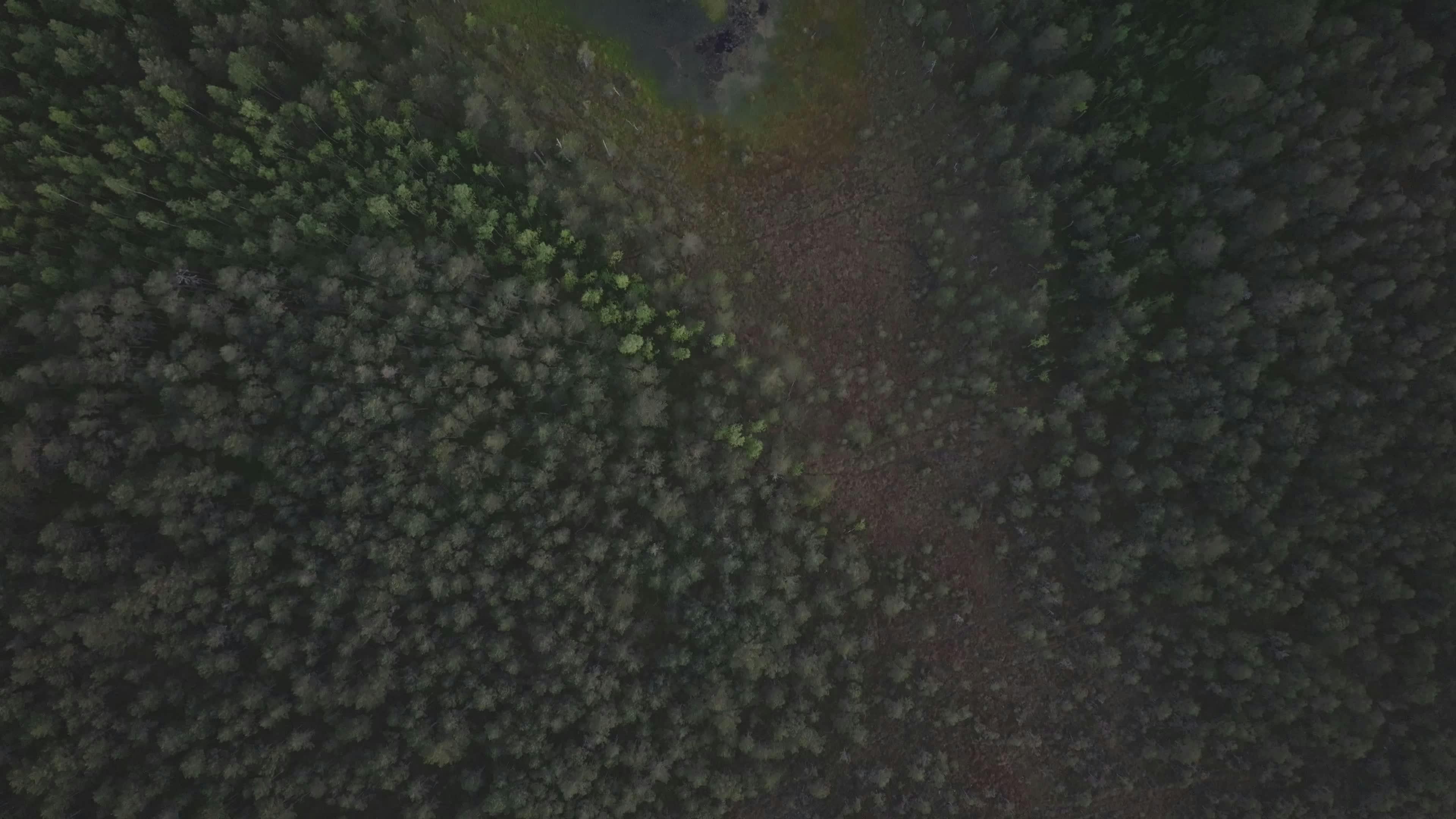 Evolution Of Filmmaking Videos, Download The BEST Free 4k Stock Video ...