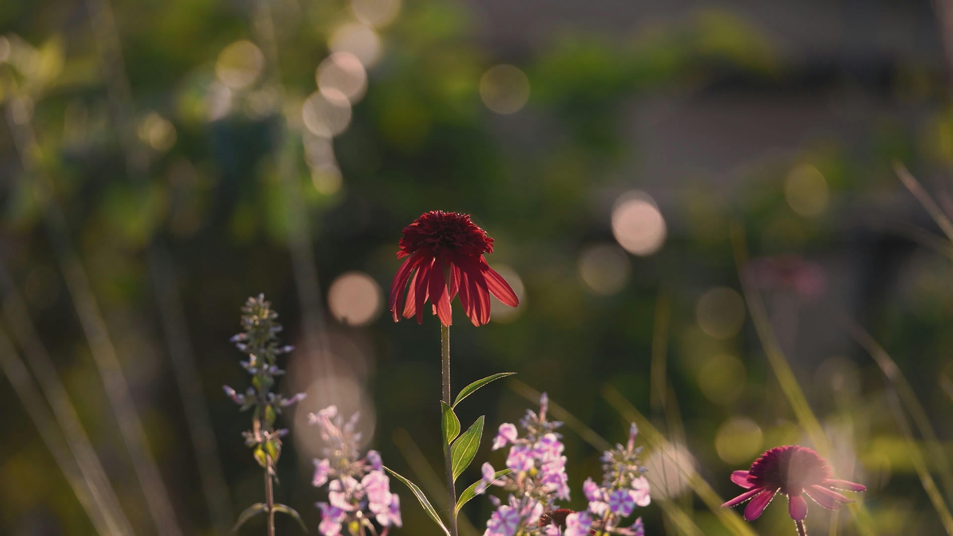 Not Alive Videos, Download The BEST Free 4k Stock Video Footage & Not ...