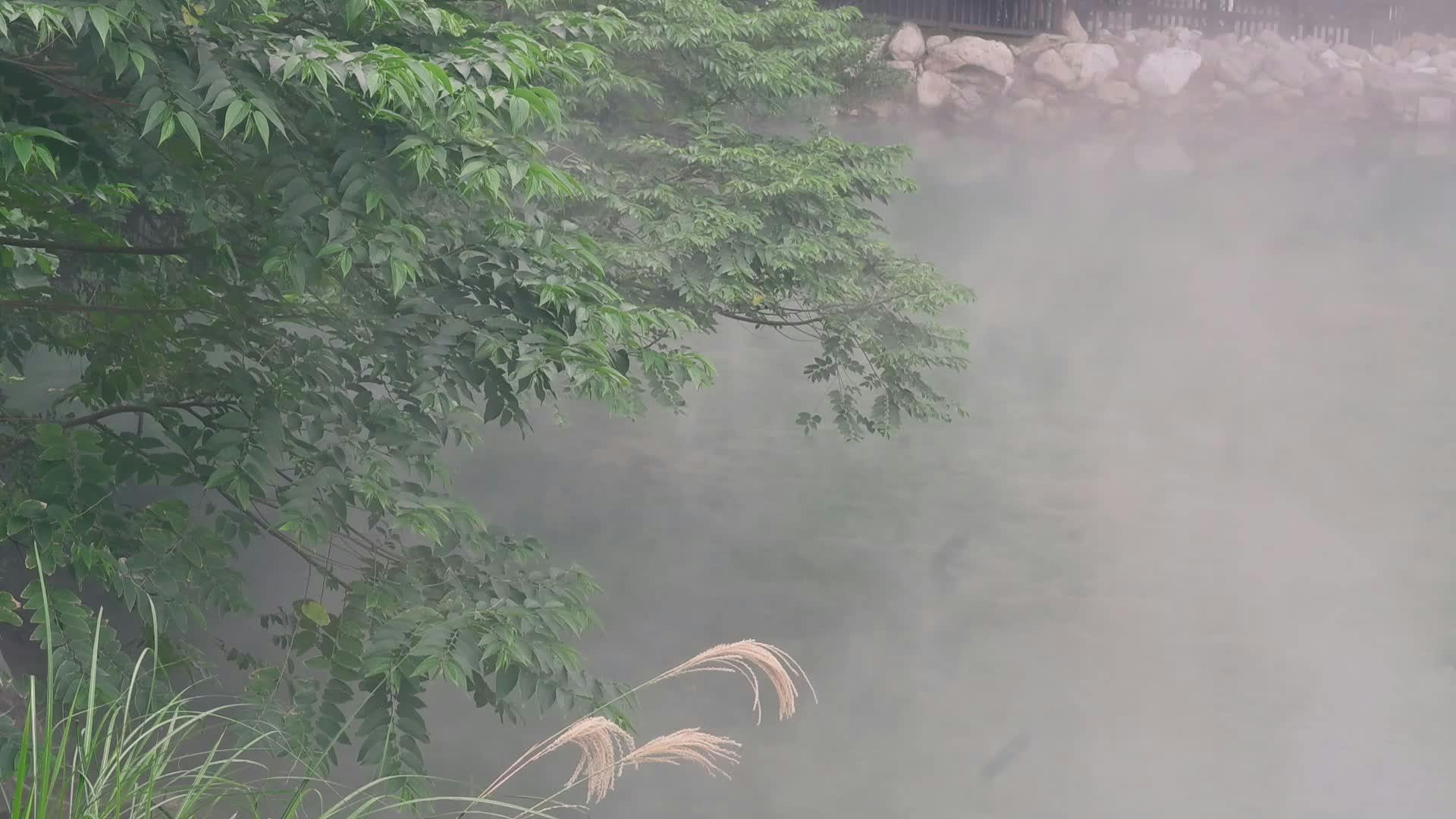 Zen And Peace Videos, Download The BEST Free 4k Stock Video Footage ...