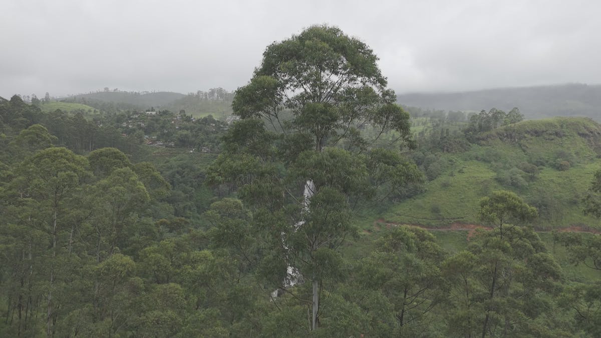 Anime Raw Footage Videos, Download The BEST Free 4k Stock Video Footage ...