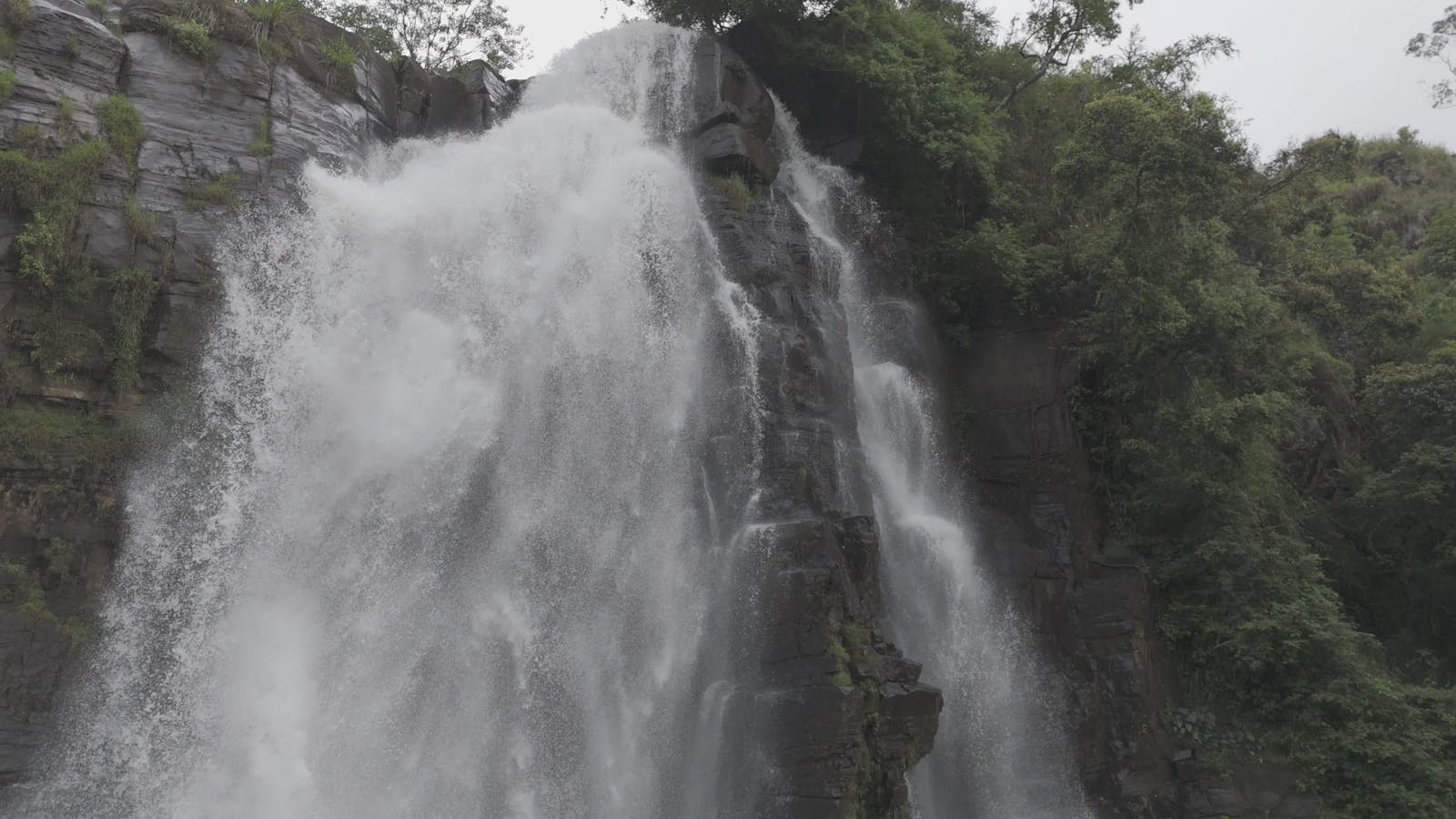 Anime Raw Footage Videos, Download The BEST Free 4k Stock Video Footage ...