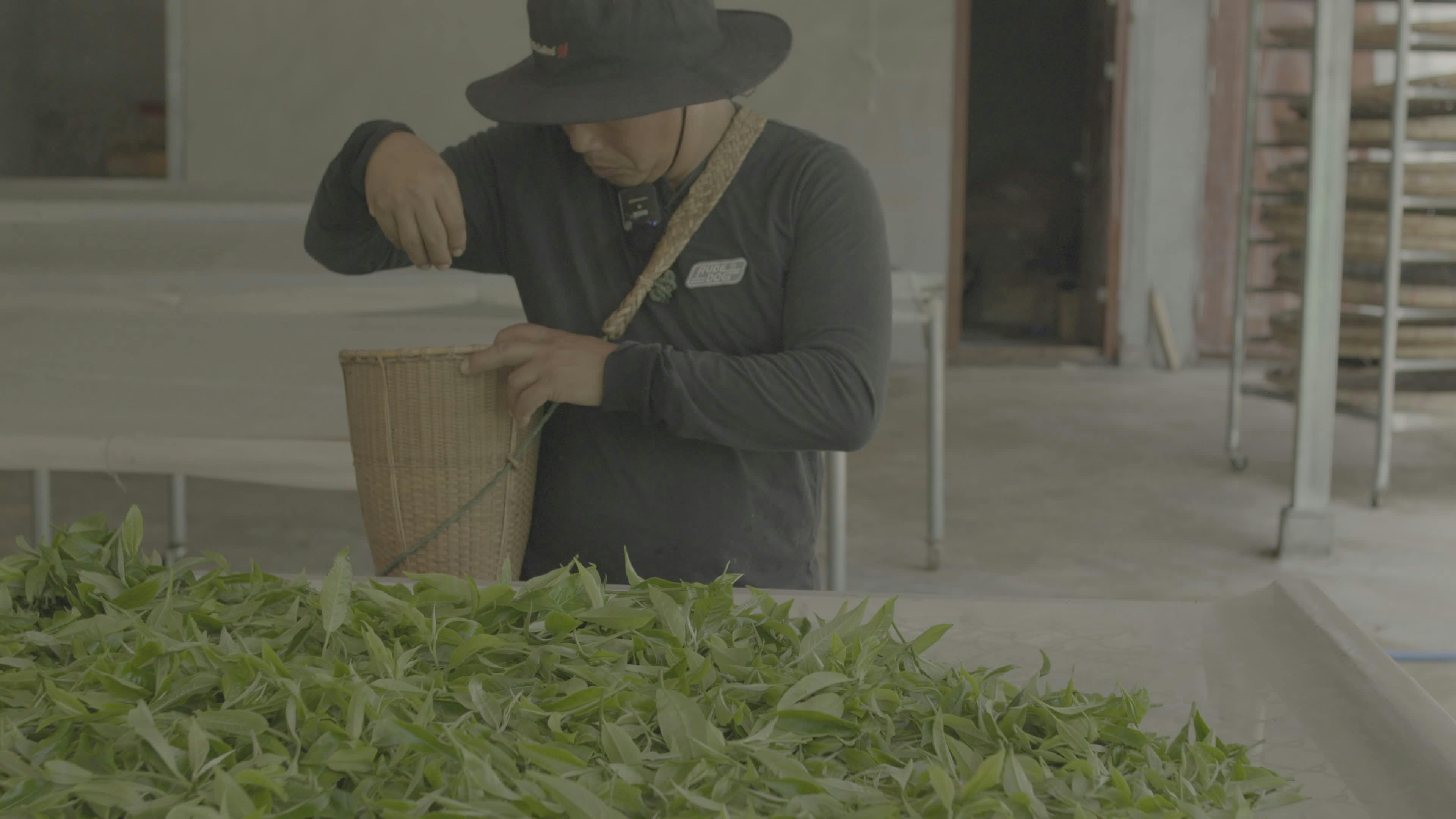 Meinhardt+Thailand Videos, Download The BEST Free 4k Stock Video ...