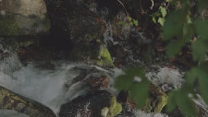 Calming Nature Videos, Download The BEST Free 4k Stock Video Footage ...