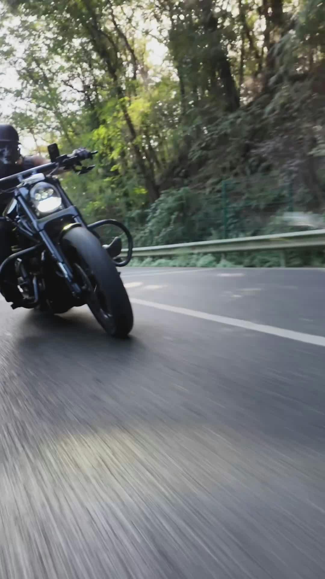 Dramatic Motorcycle Ride Through Forest Road Free Stock Video Footage ...