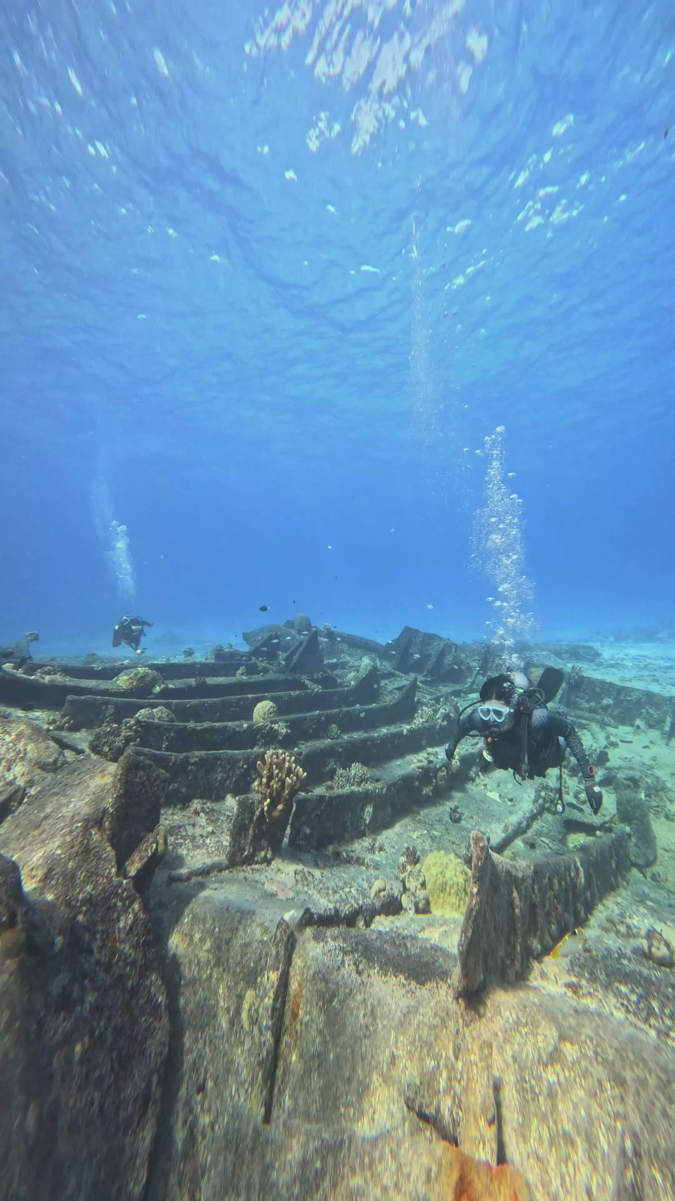 Treasurer Videos, Download The BEST Free 4k Stock Video Footage ...