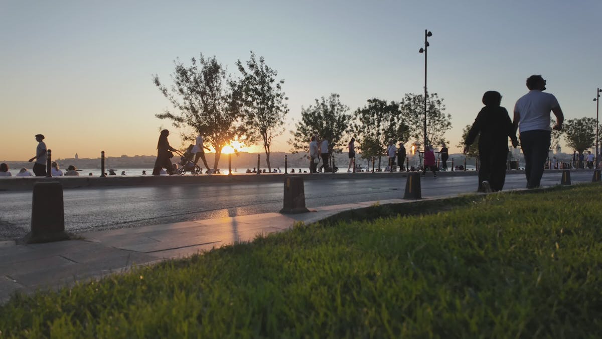 Snake Walk Videos, Download The BEST Free 4k Stock Video Footage ...