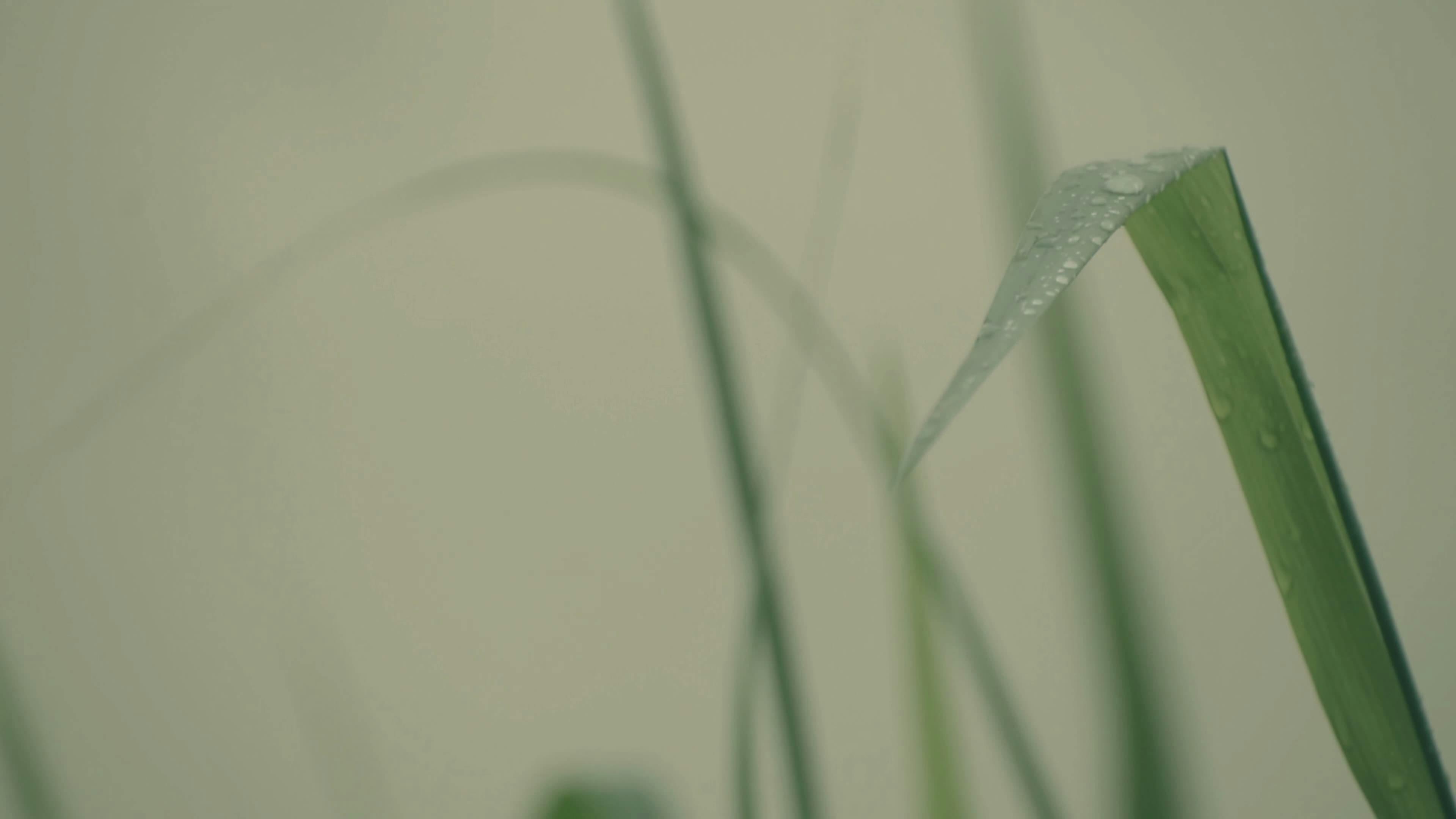 Rain Badal Videos, Download The BEST Free 4k Stock Video Footage & Rain ...