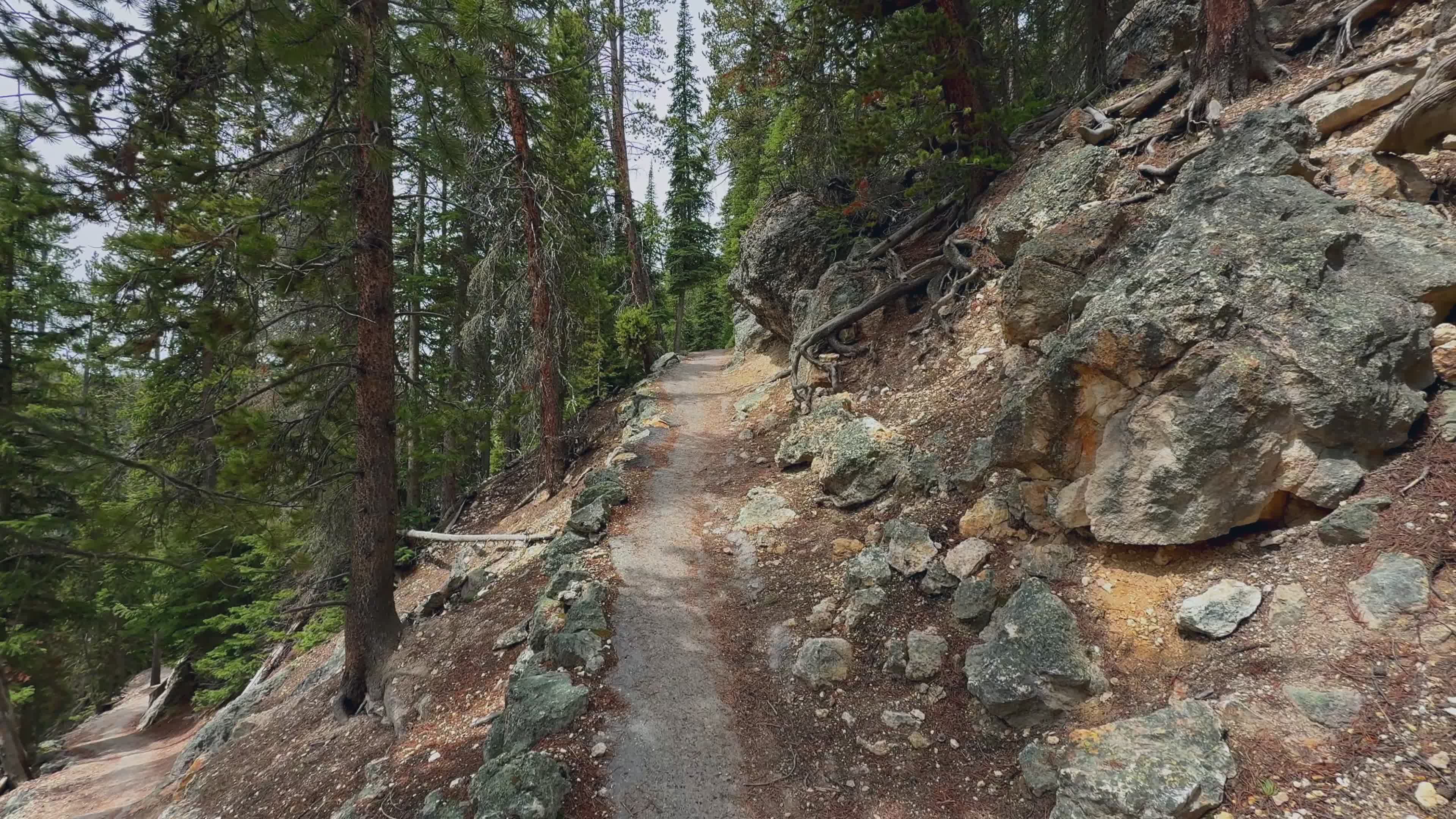 Tranquil Forest Pathway Through Rocky Terrain Free Stock Video Footage ...