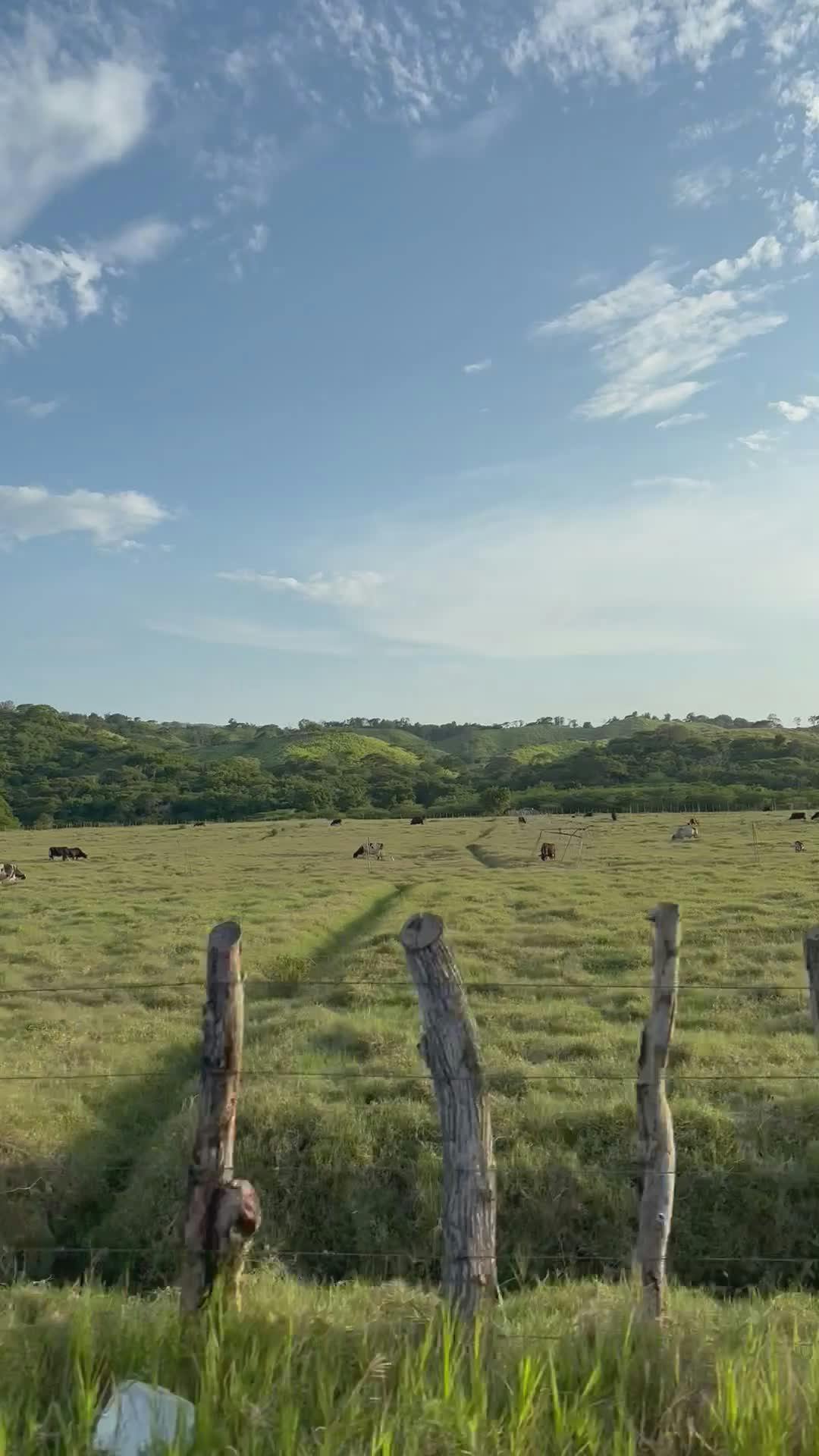 Nature Videography Videos, Download The BEST Free 4k Stock Video ...