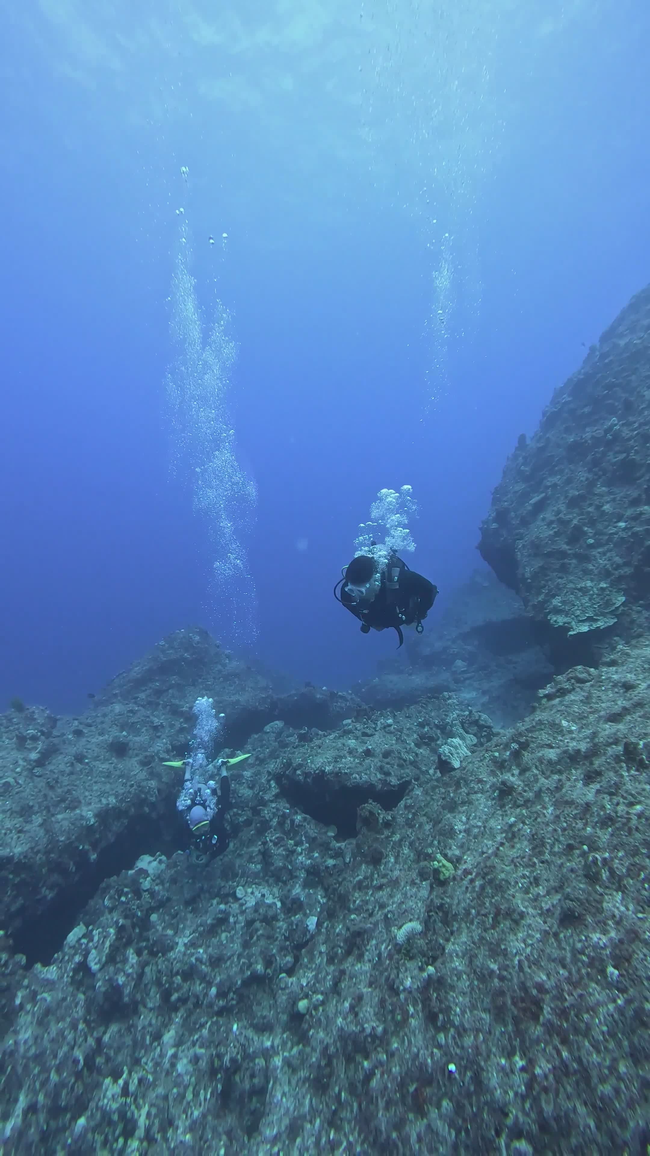 Scuba Divers Exploring Underwater Coral Reef Free Stock Video Footage ...