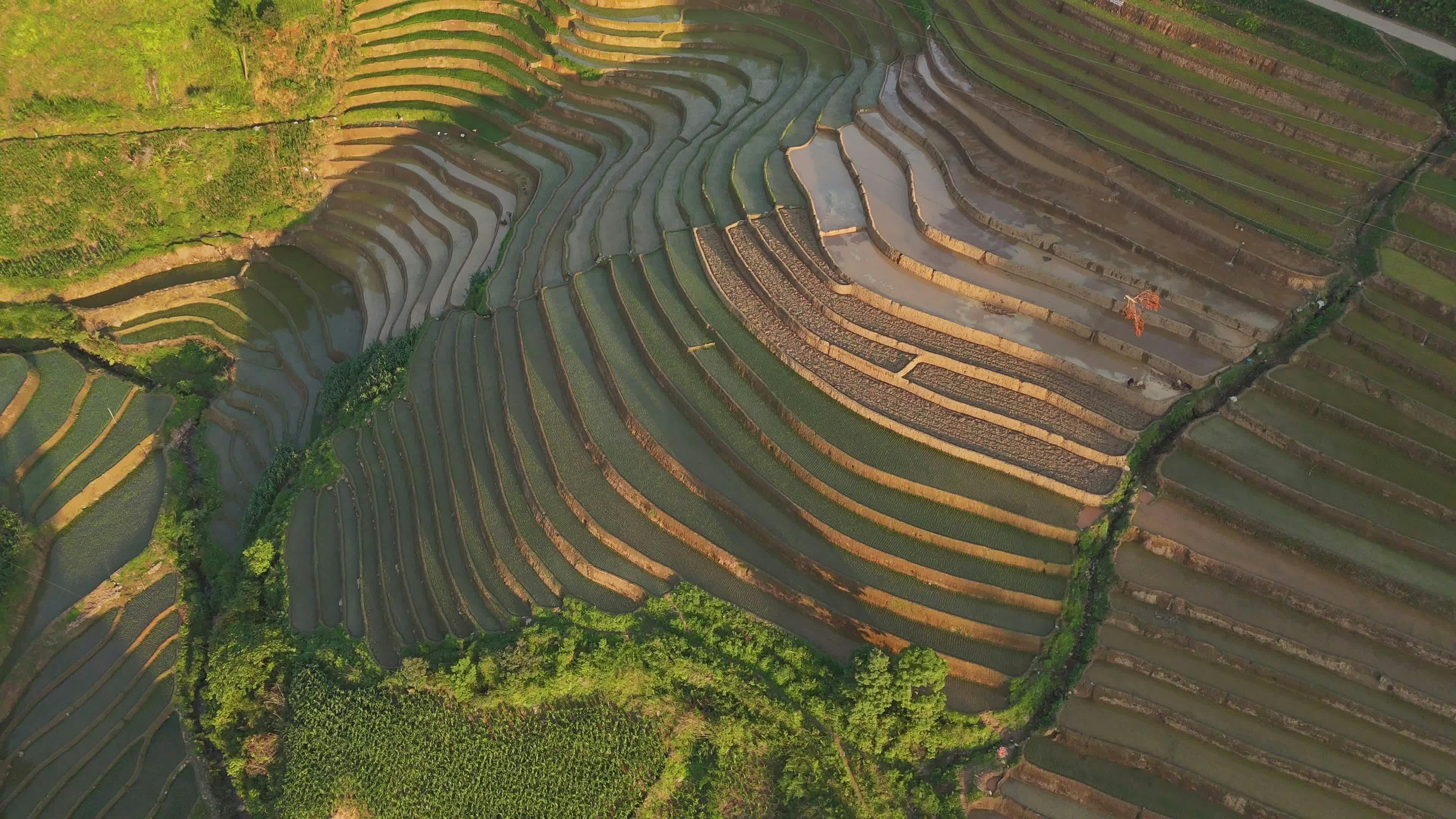 Aerial View of Southeast Asian Rice Terraces at Sunrise Free Stock ...