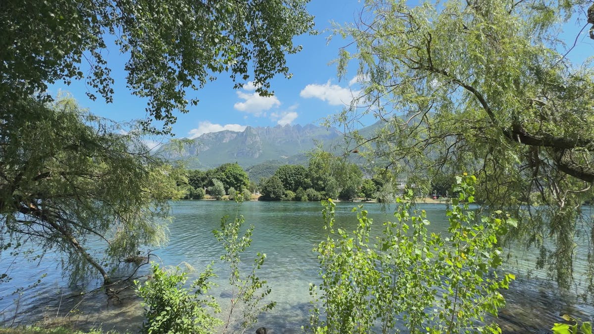 X+Hamster+Indian+Video Videos, Download The BEST Free 4k Stock Video ...