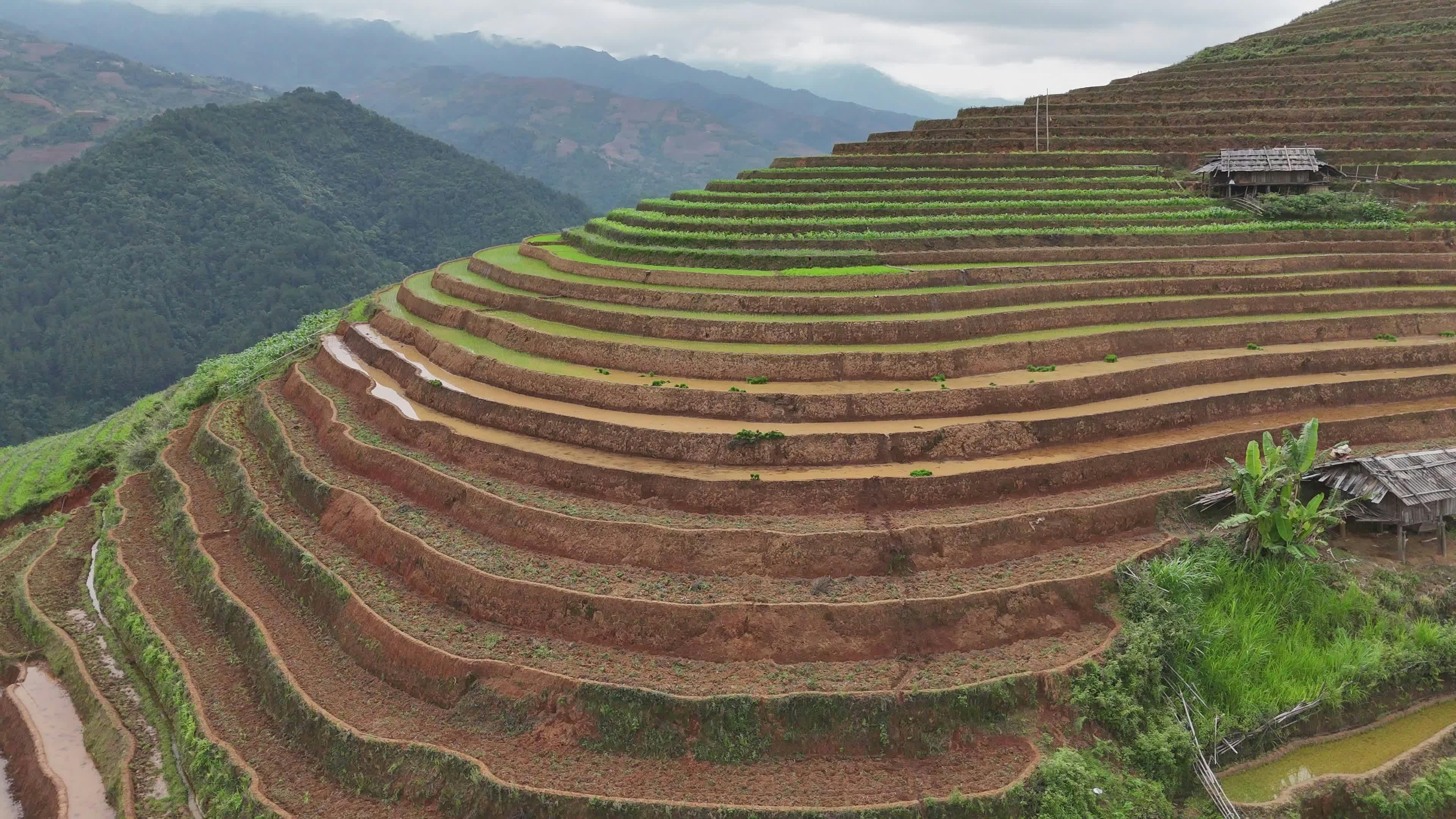Step Farming Videos, Download The BEST Free 4k Stock Video Footage ...