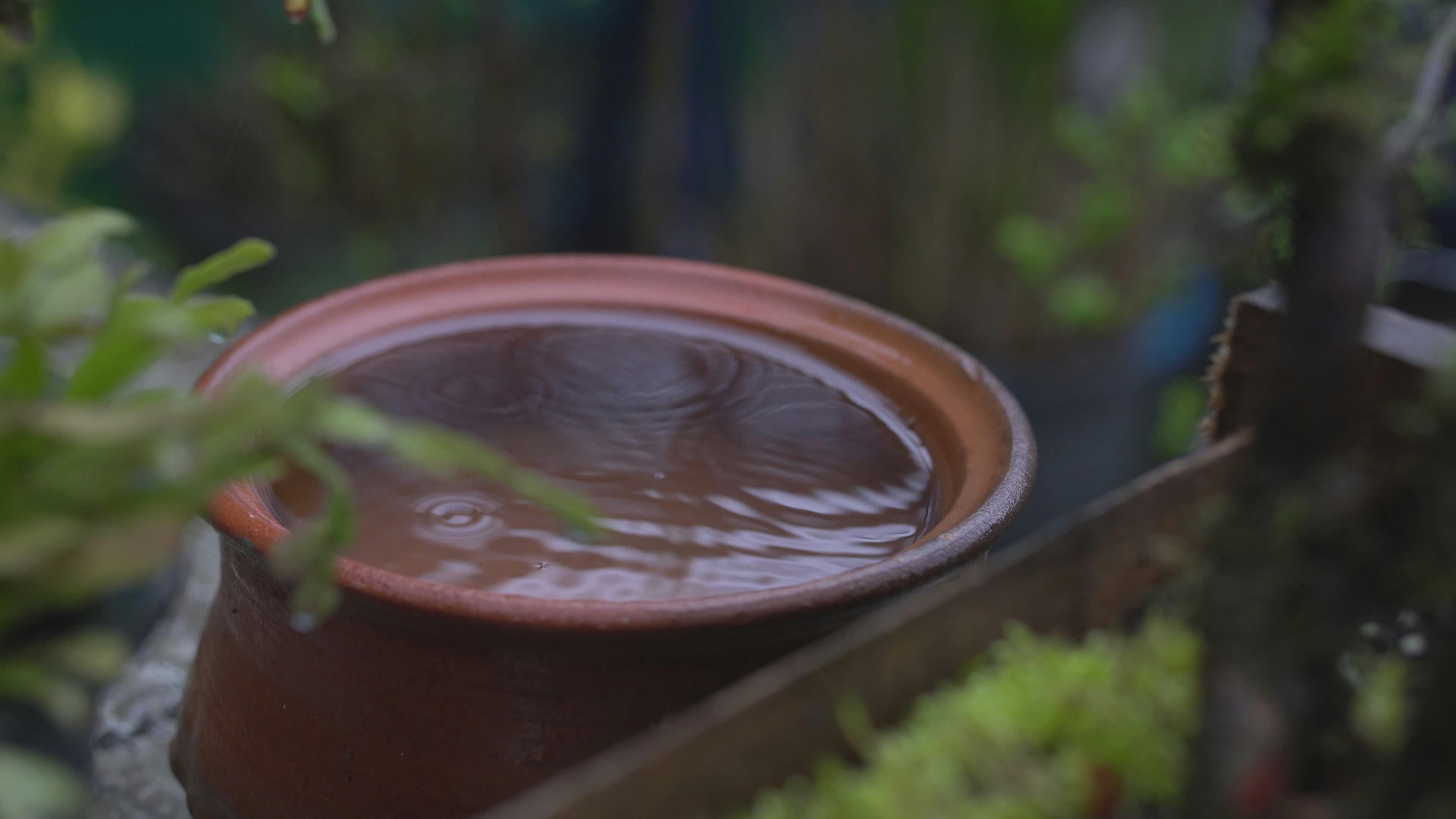 Binder Clay Videos, Download The BEST Free 4k Stock Video Footage ...