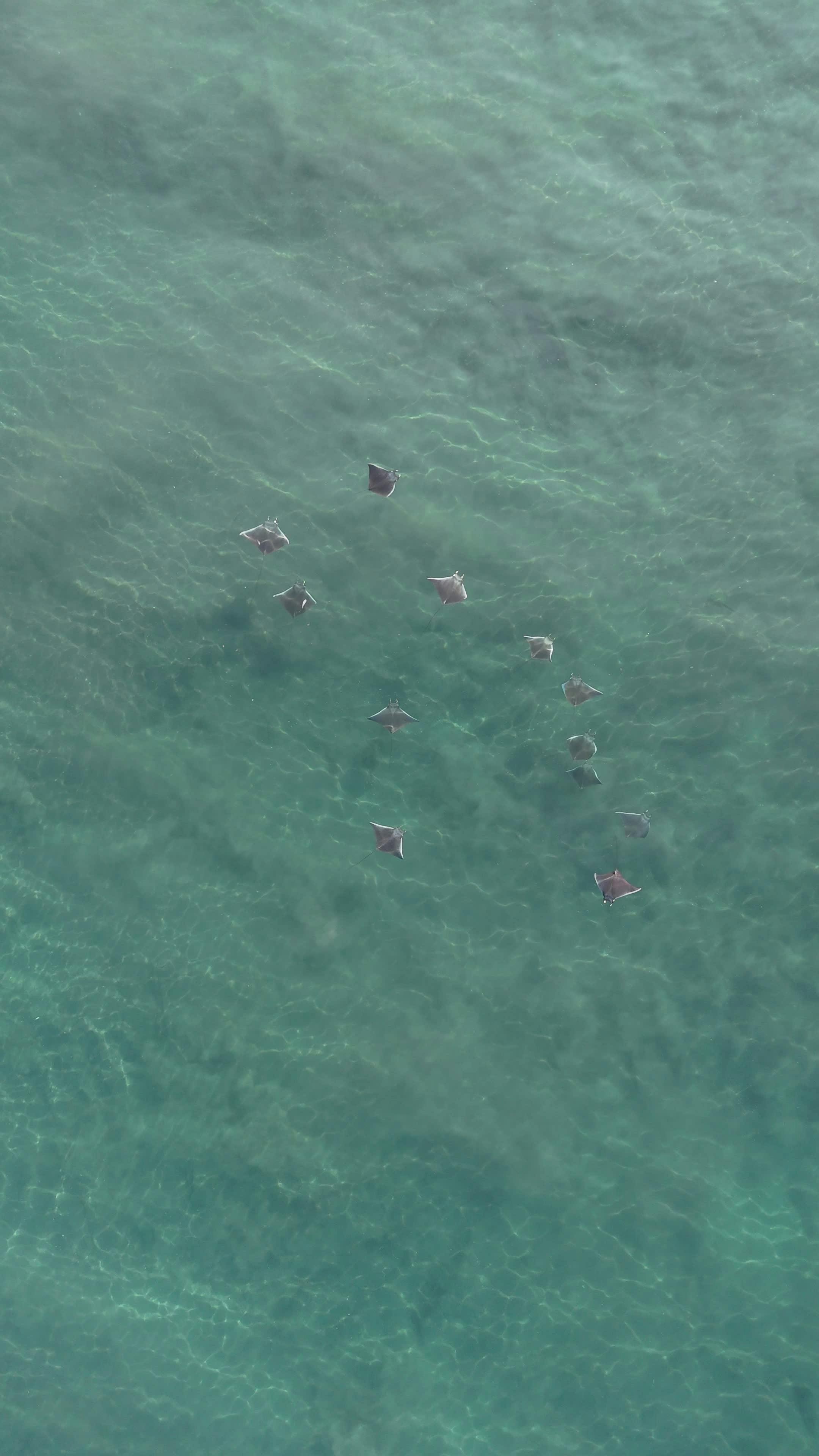 Big+Gyat+Twerking Videos, Download The BEST Free 4k Stock Video Footage ...