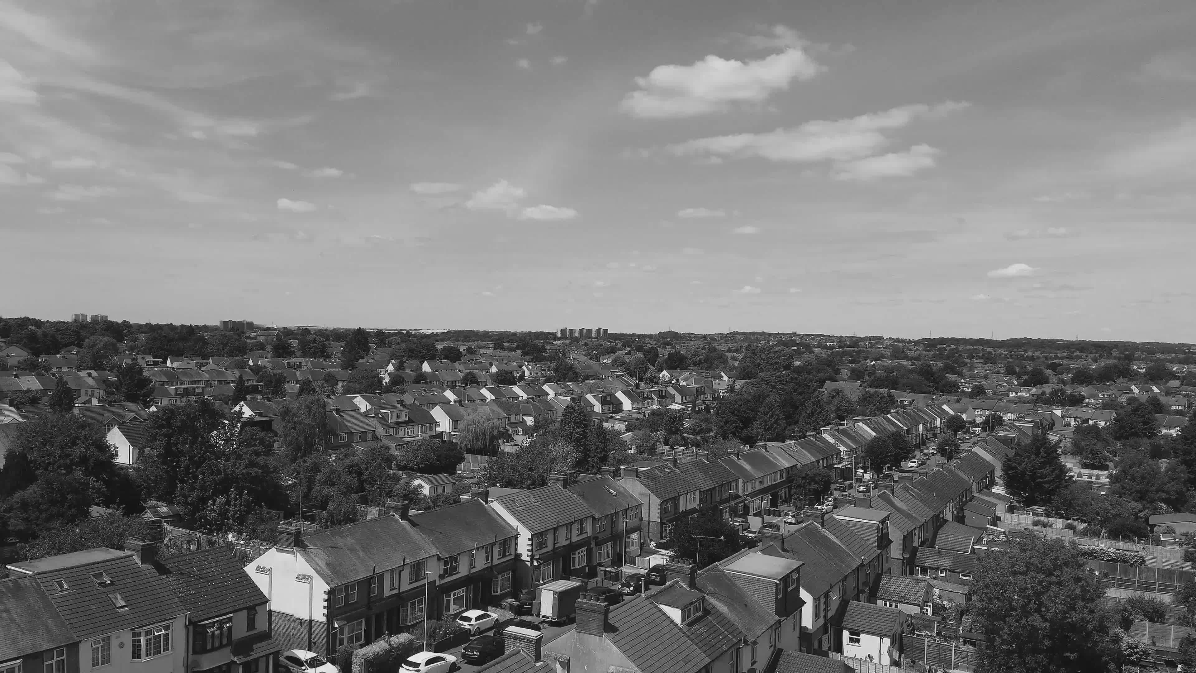 Paparan Gray Videos, Download The BEST Free 4k Stock Video Footage ...