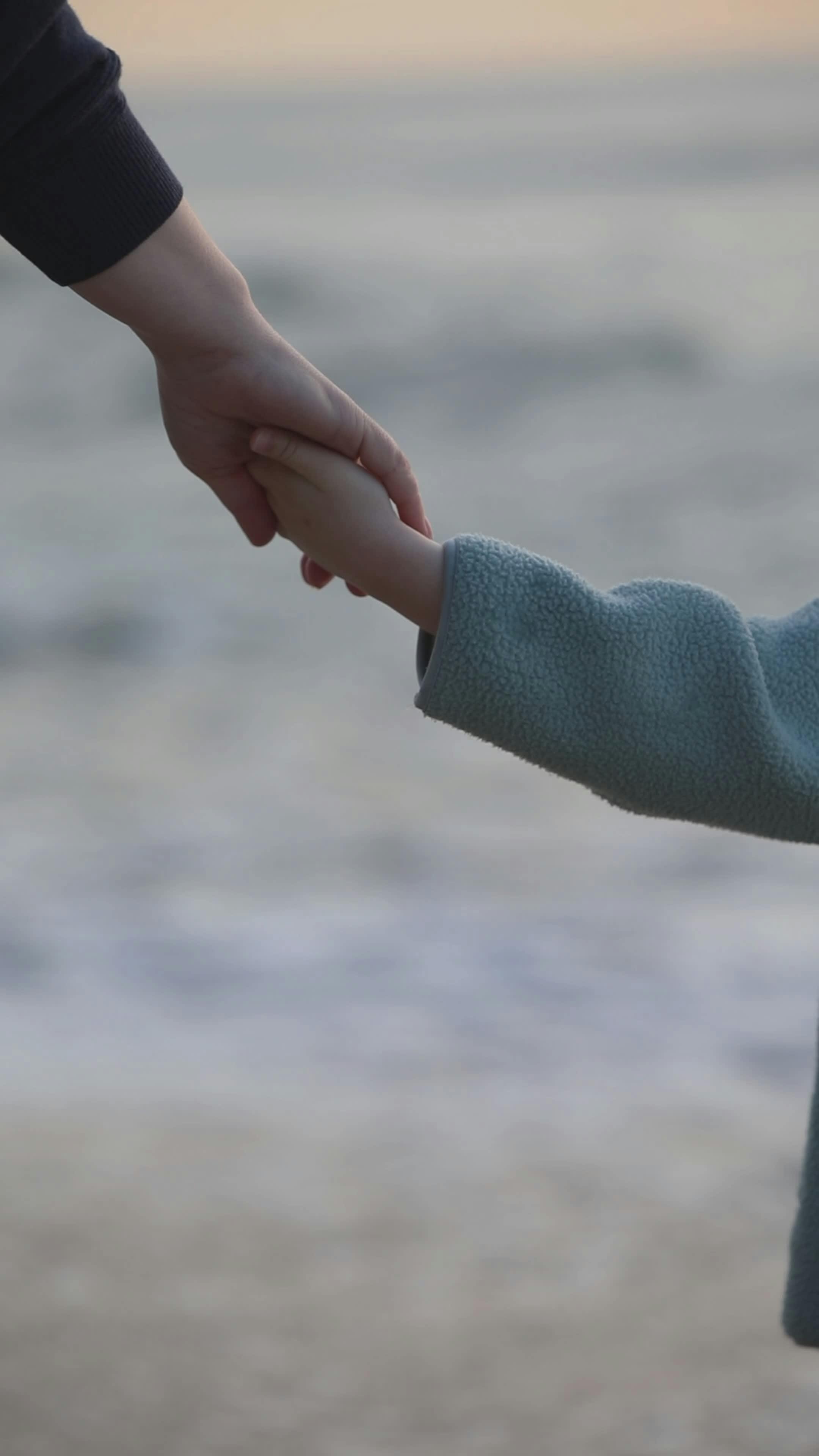 Protecte Videos, Download The BEST Free 4k Stock Video Footage ...