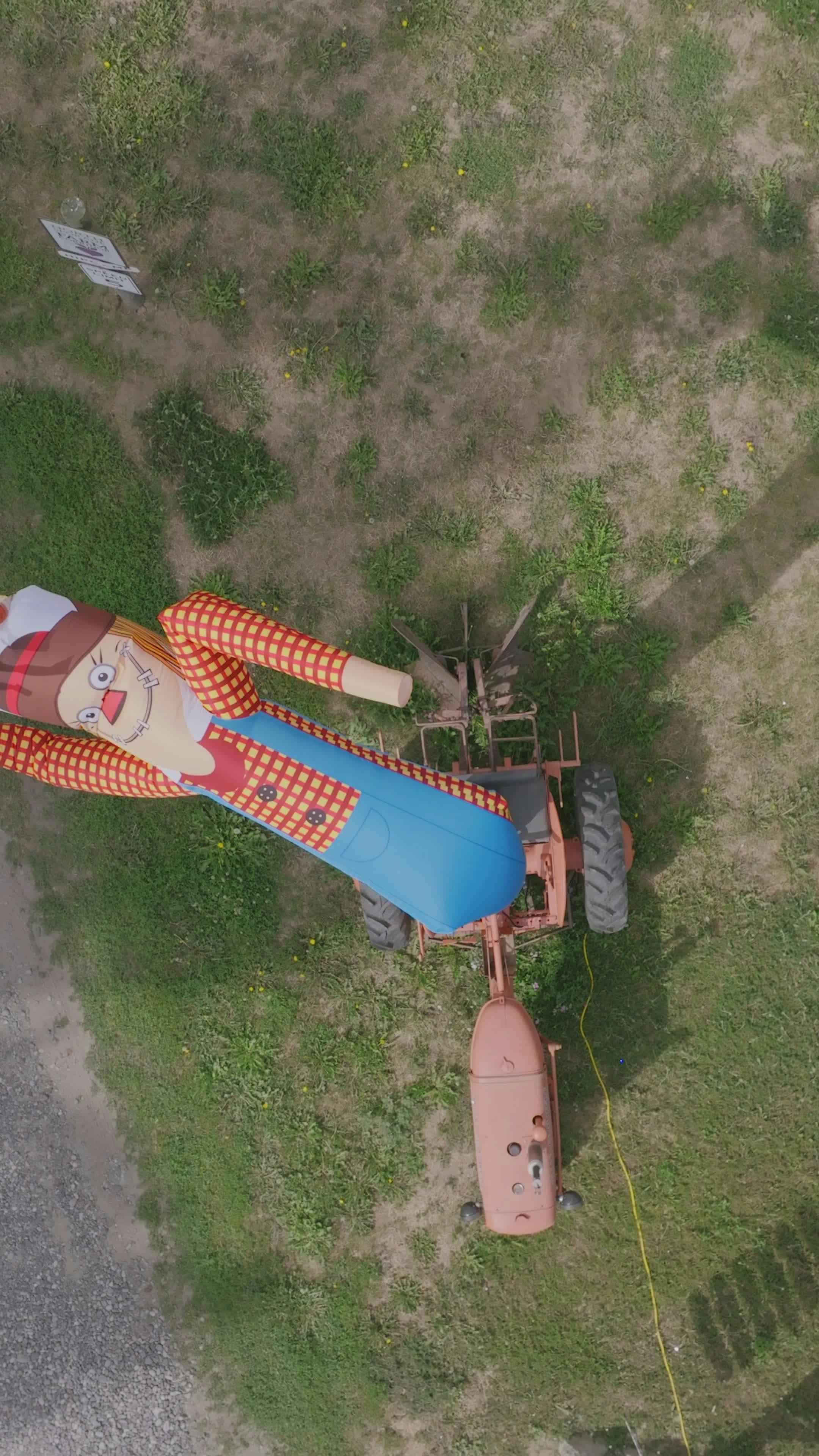 Very Funny Videos, Download The BEST Free 4k Stock Video Footage & Very ...