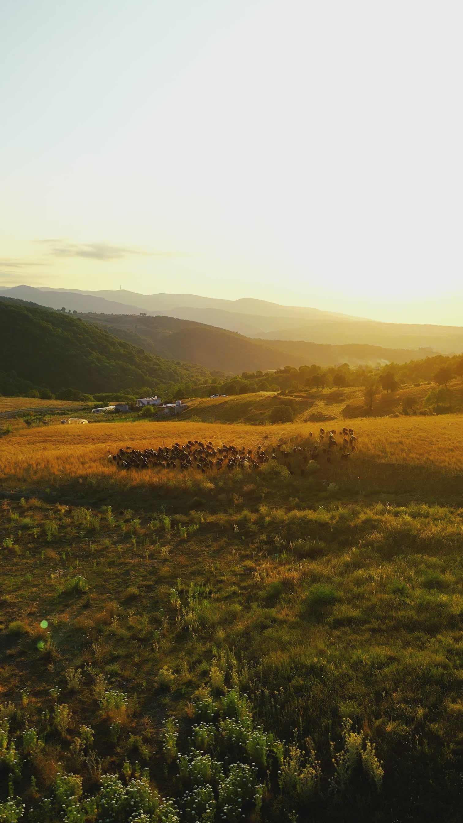 Impresionante Vista Desde La Cima De La Colina Al Atardecer · Vídeo de ...