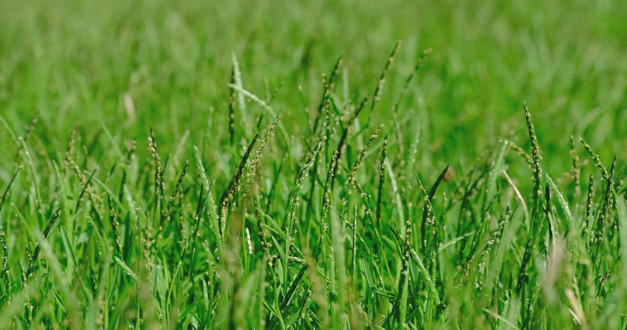 Land Disposition Videos, Download The BEST Free 4k Stock Video Footage ...