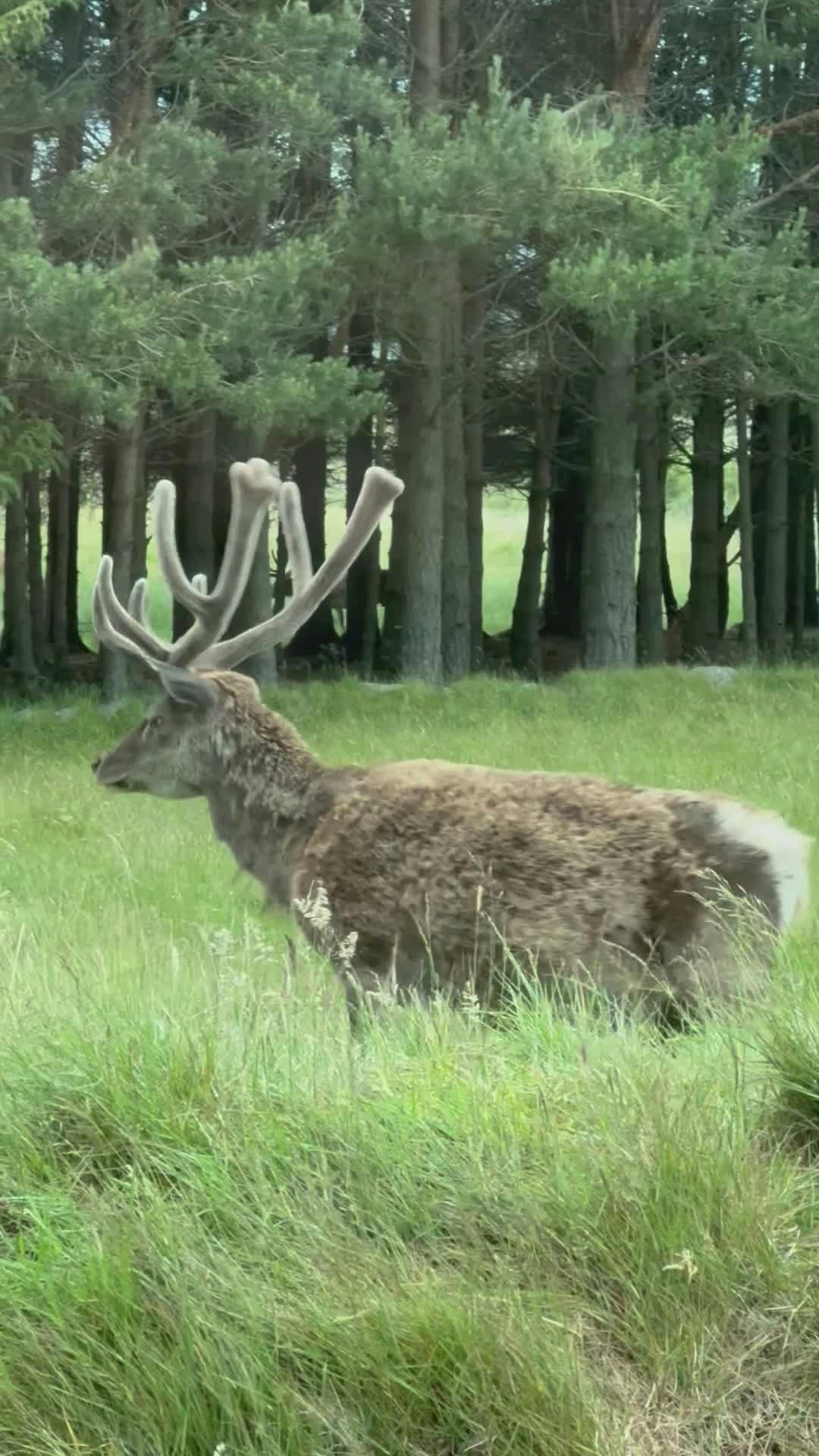 Life Mysli Videos, Download The BEST Free 4k Stock Video Footage & Life ...