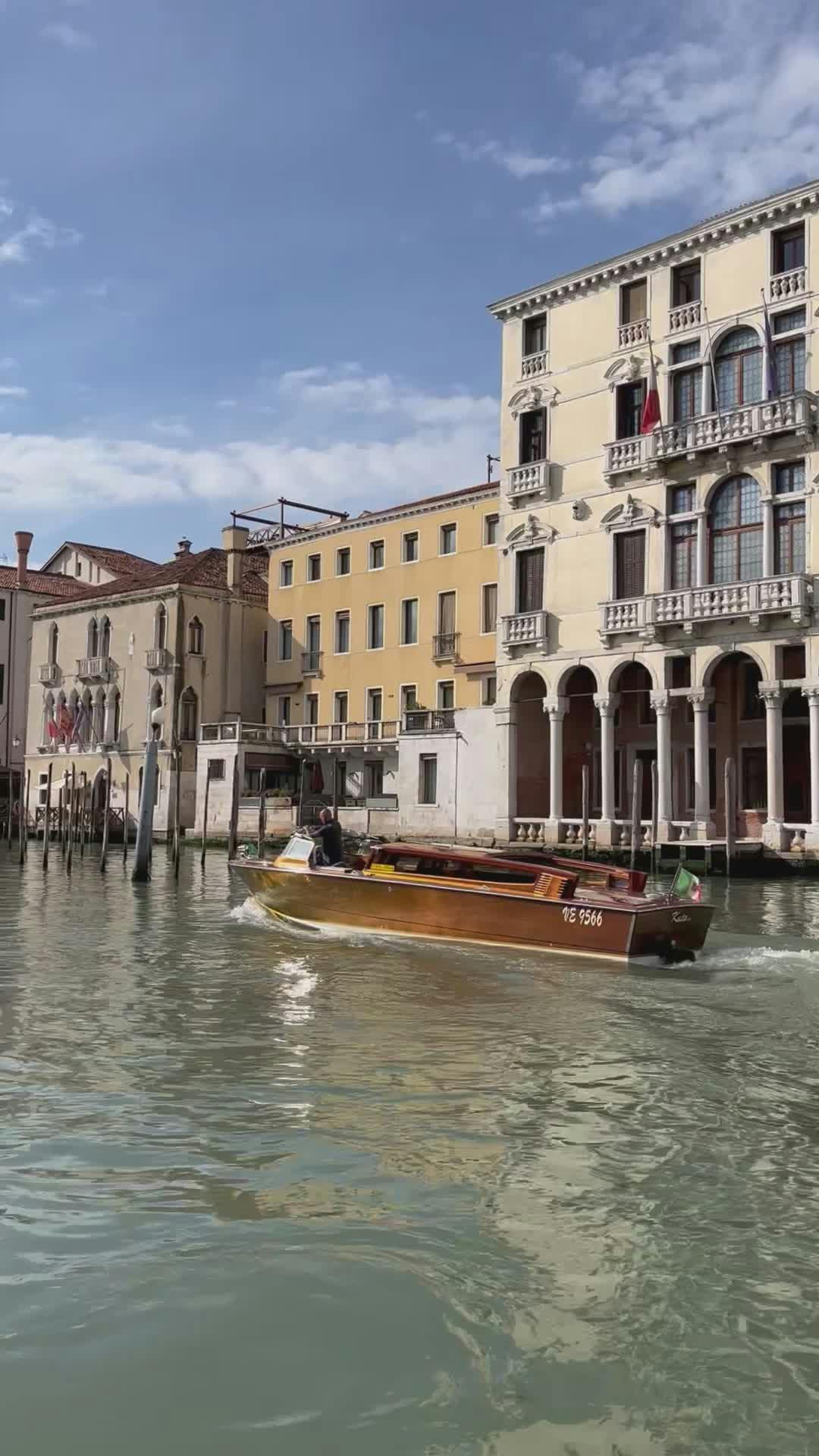 Italian Brainrot Videos, Download The BEST Free 4k Stock Video Footage ...