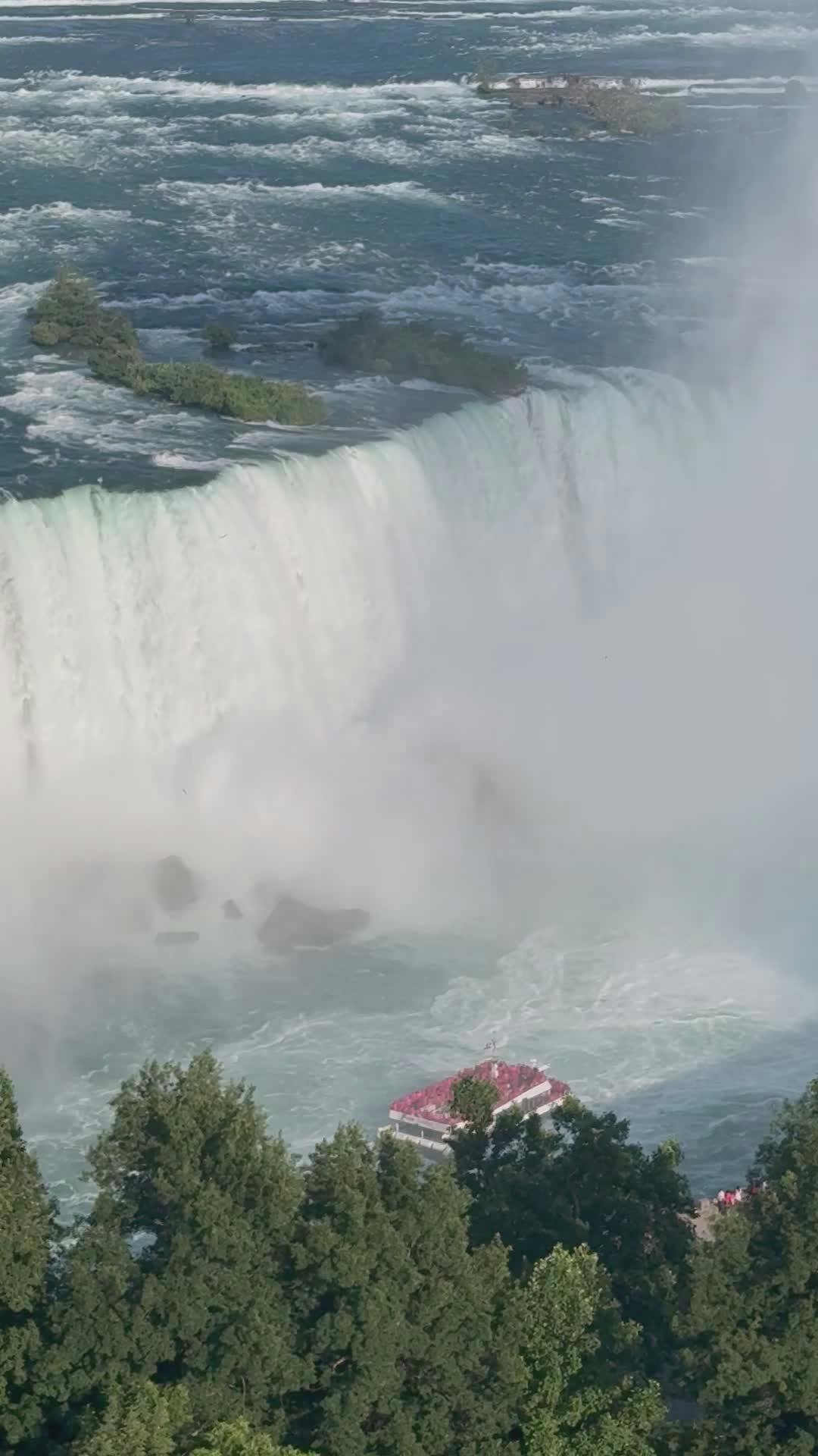 Mighty Pose Videos, Download The BEST Free 4k Stock Video Footage ...