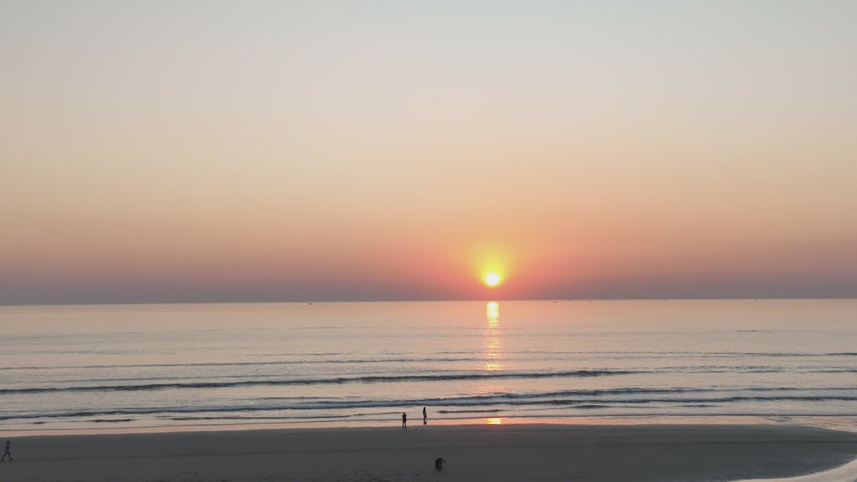 Frolic+Me+Full+Video Videos, Download The BEST Free 4k Stock Video ...