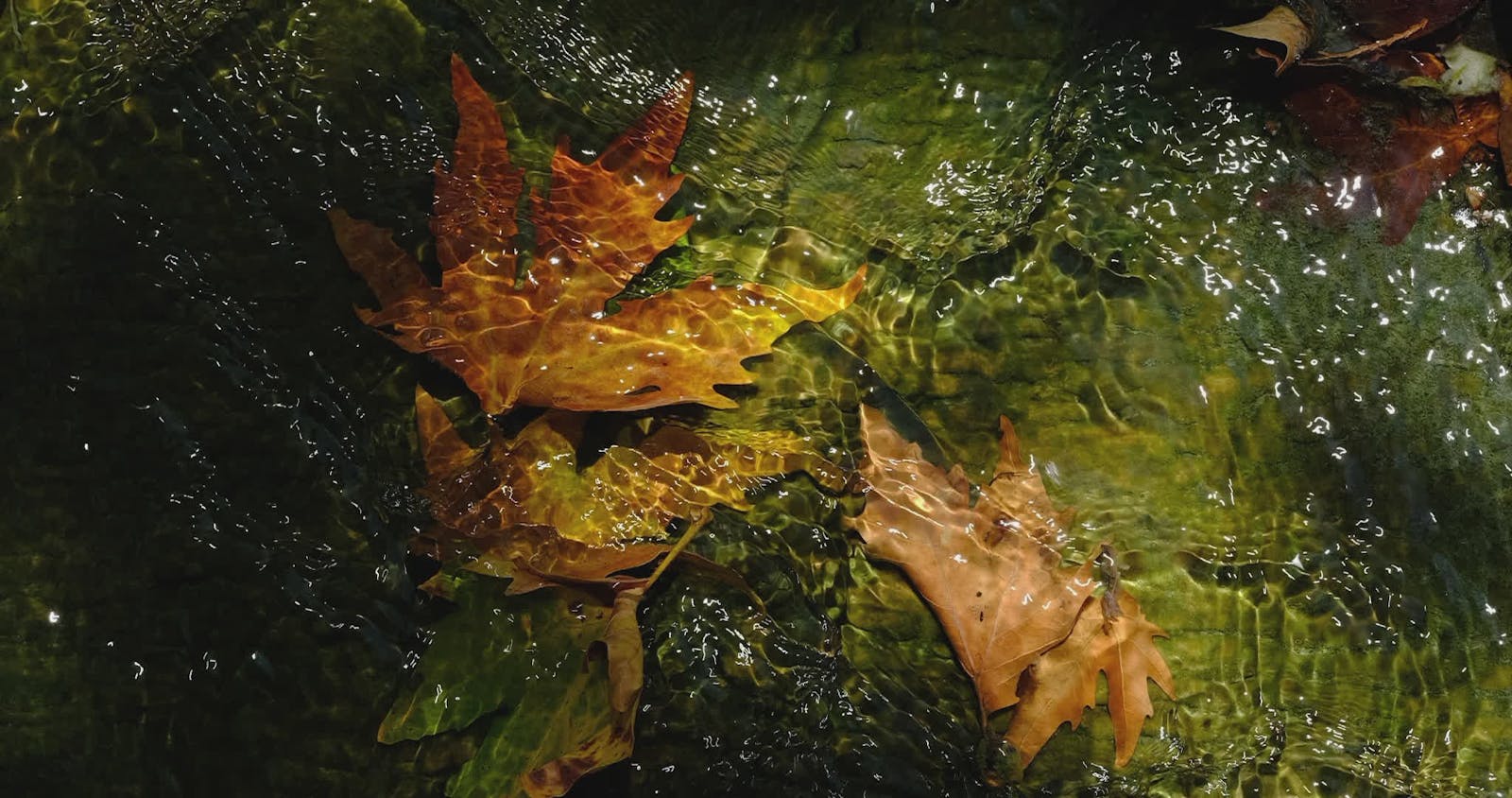 Calming Nature Videos, Download The BEST Free 4k Stock Video Footage ...