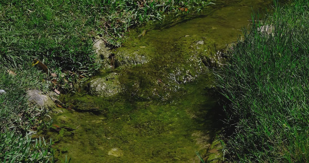 Calming Nature Videos, Download The BEST Free 4k Stock Video Footage ...