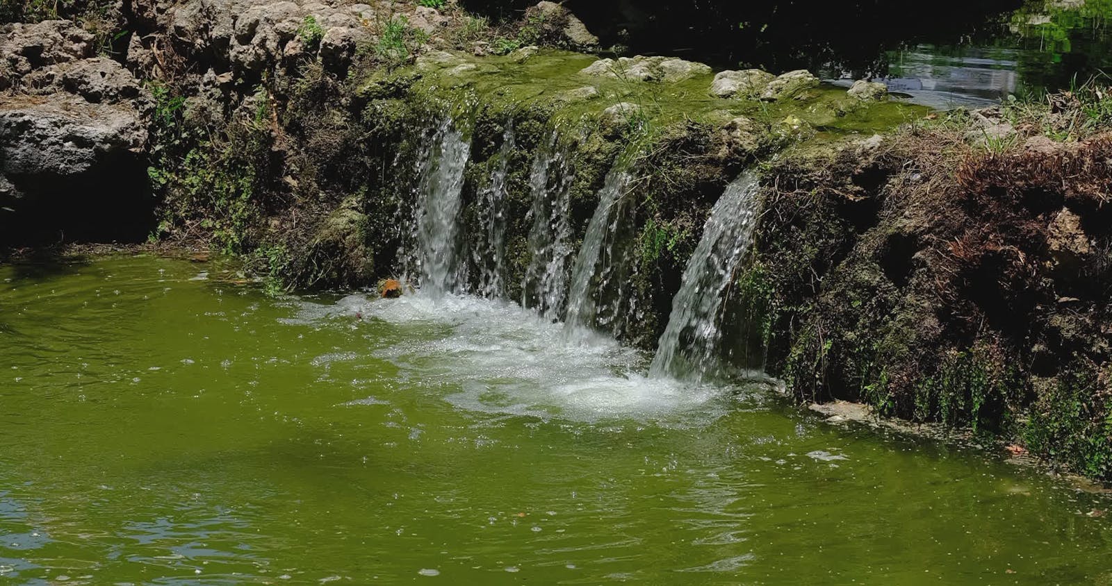 Calming Nature Videos, Download The BEST Free 4k Stock Video Footage ...