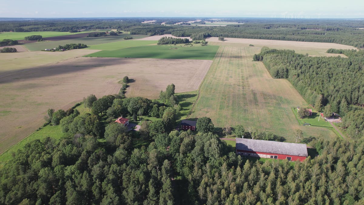 Bur+Ki+Video Videos, Download The BEST Free 4k Stock Video Footage ...