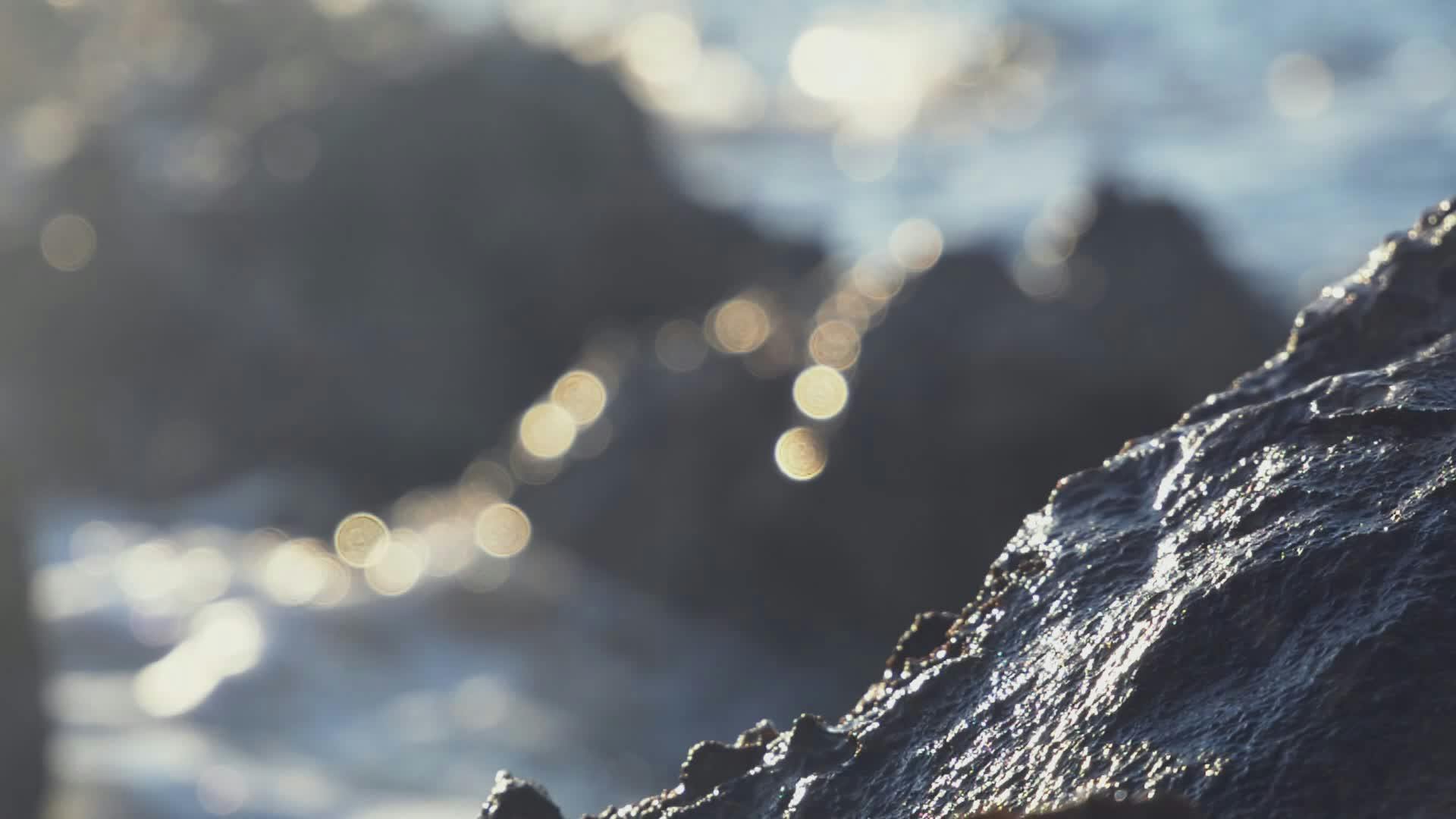 Splash+Egypt Videos, Download The BEST Free 4k Stock Video Footage ...