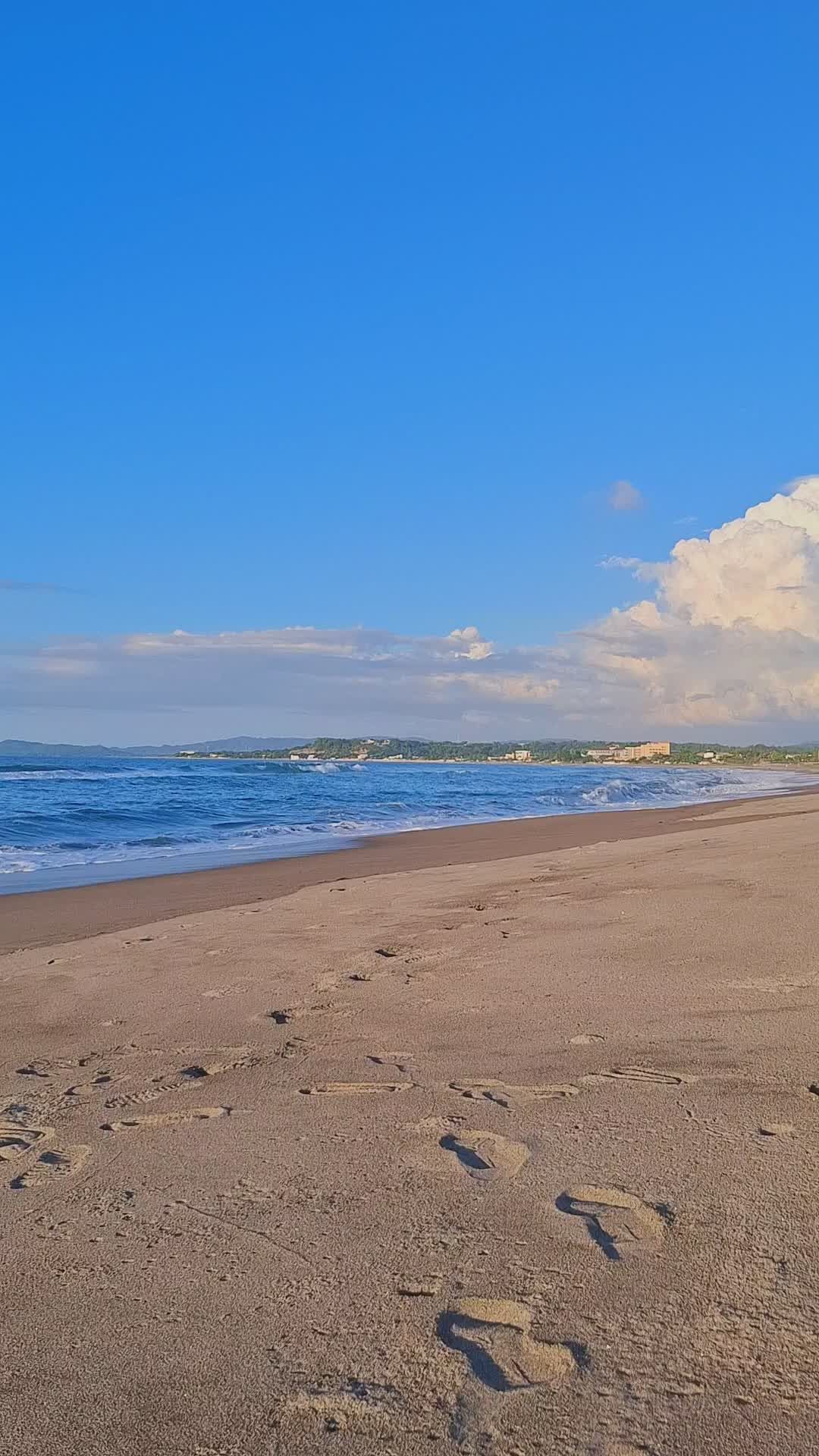 Walk On Beach Videos, Download The BEST Free 4k Stock Video Footage ...